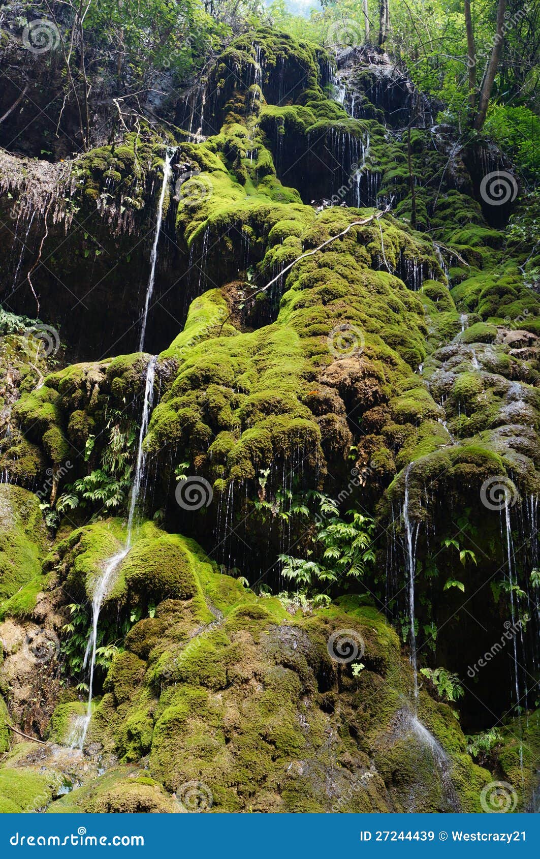 Waterfall in Yelang Valley stock image. Image of yichang - 27244439