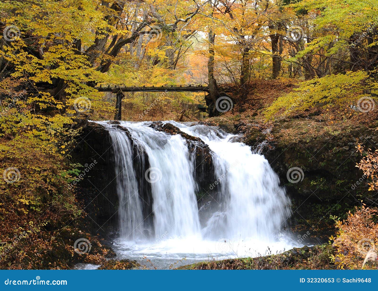 Waterfall in the Yellow Forest Stock Image - Image of nature, beauty ...