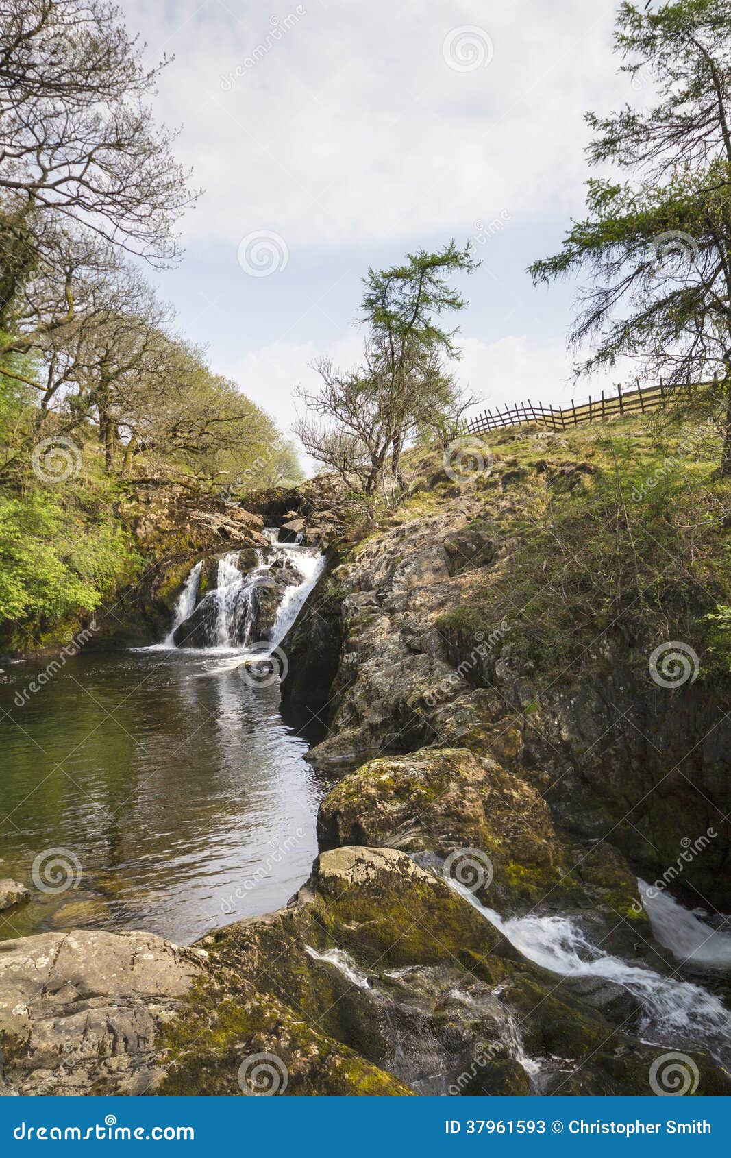 Waterfall in the Yorkshire Dales Stock Image - Image of england, forest ...