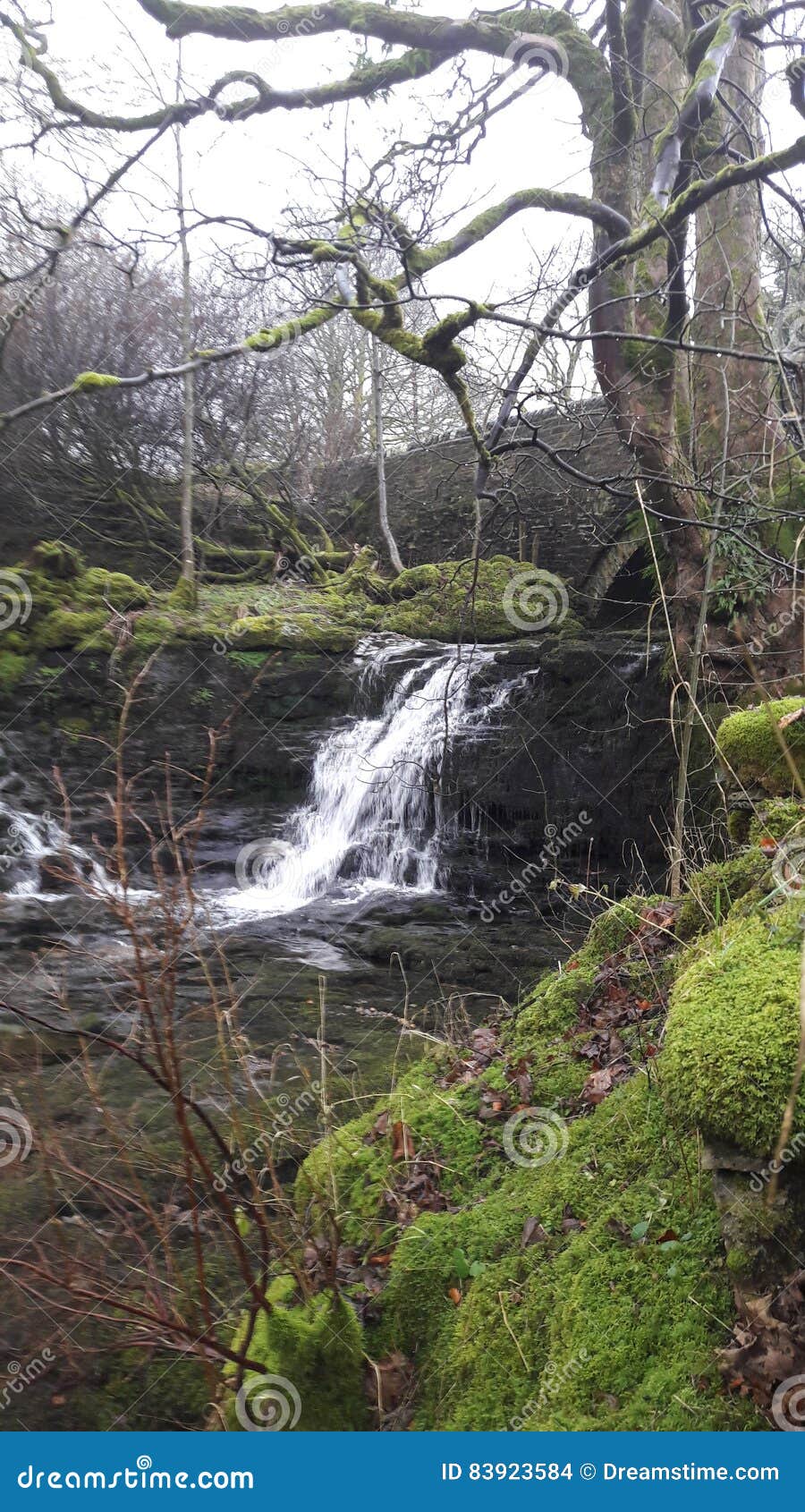Waterfall yorkshire dales stock photo. Image of yorkshire - 83923584