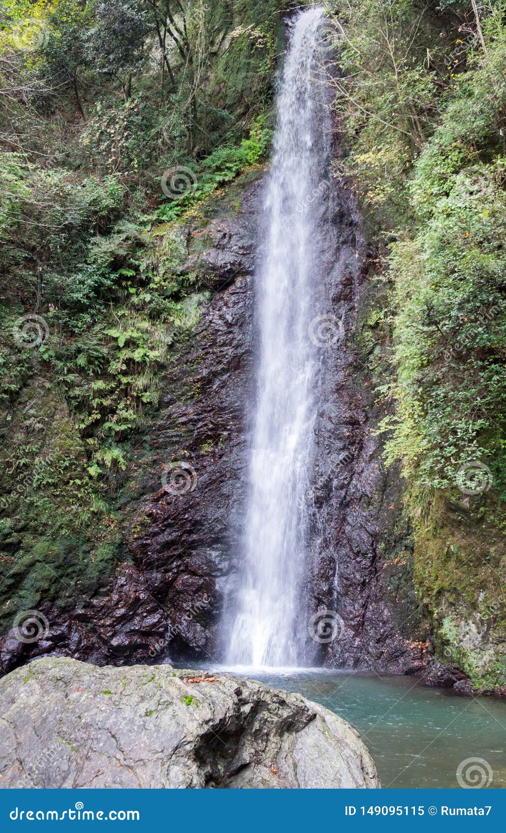 Waterfall of Yoro at Autumn Time. Japan Stock Image - Image of stream ...