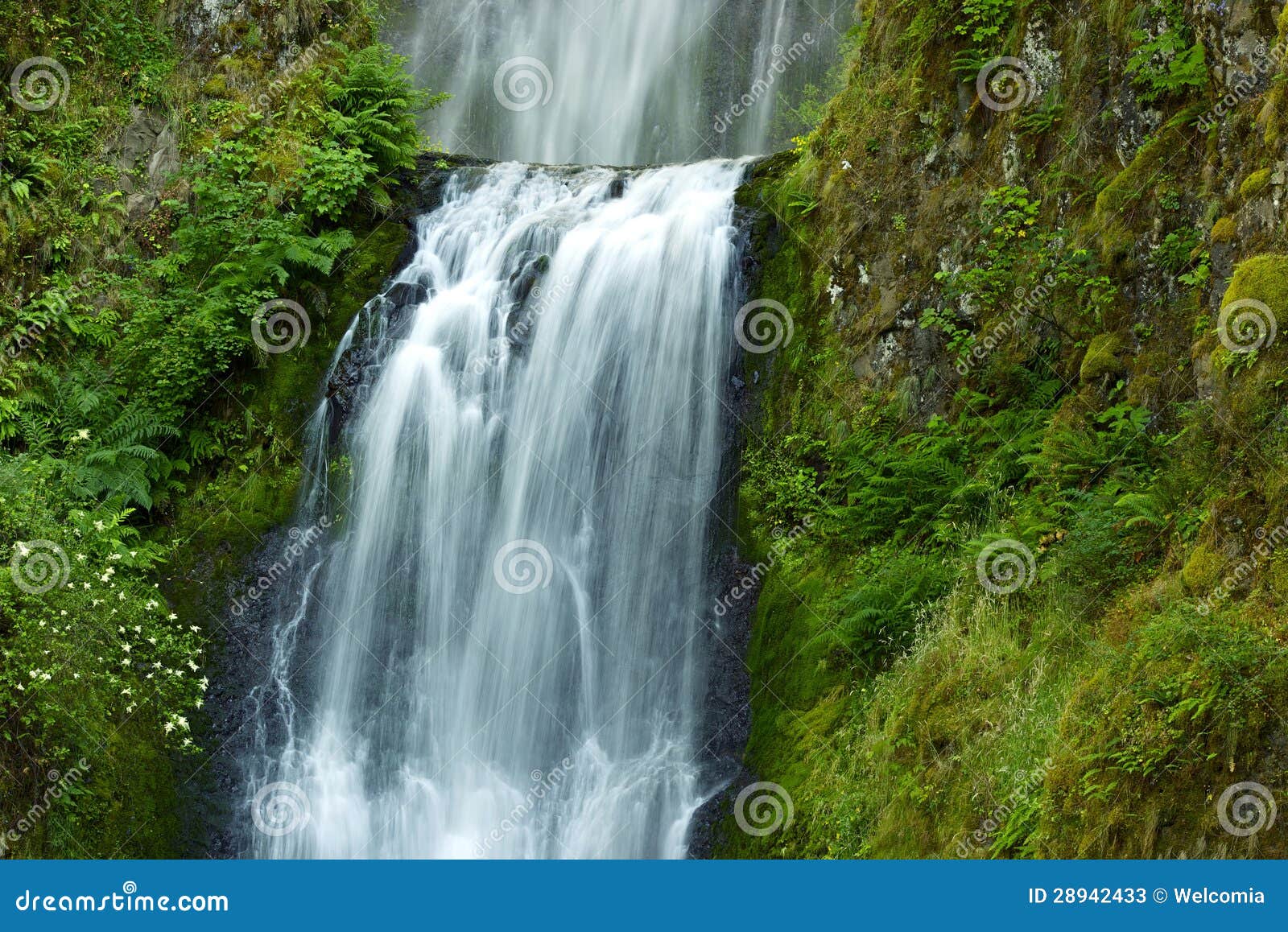 Waterfalls stock image. Image of mossy, horizontal, slop - 28942433
