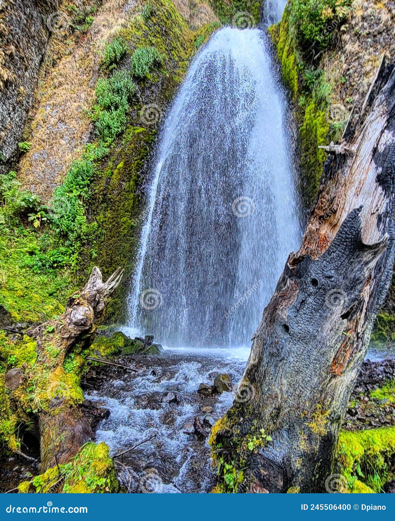 Waterfalls Around the Columbia River Gorge Oregon Stock Photo - Image ...