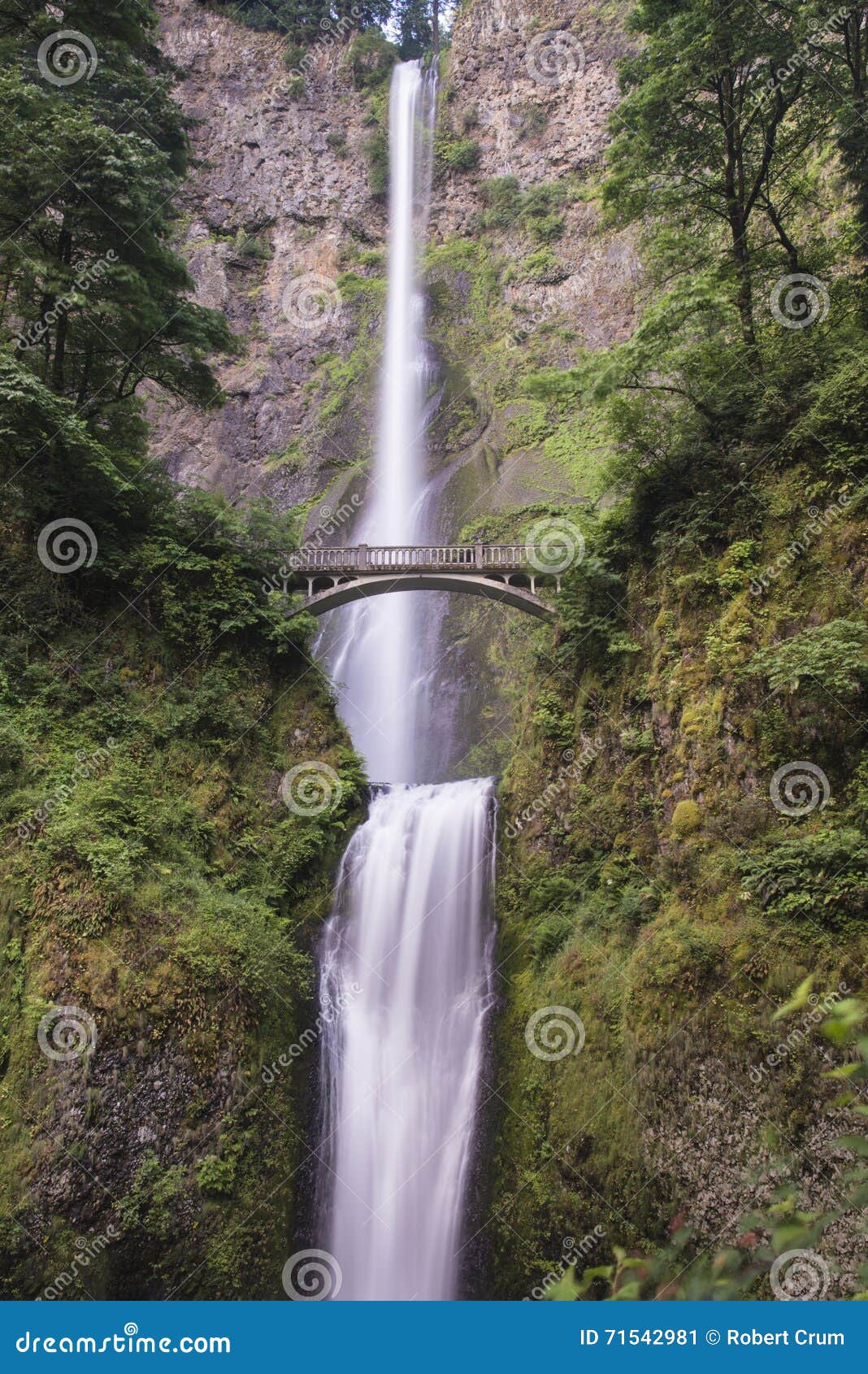 Waterfalls and bridge stock image. Image of northwest - 71542981