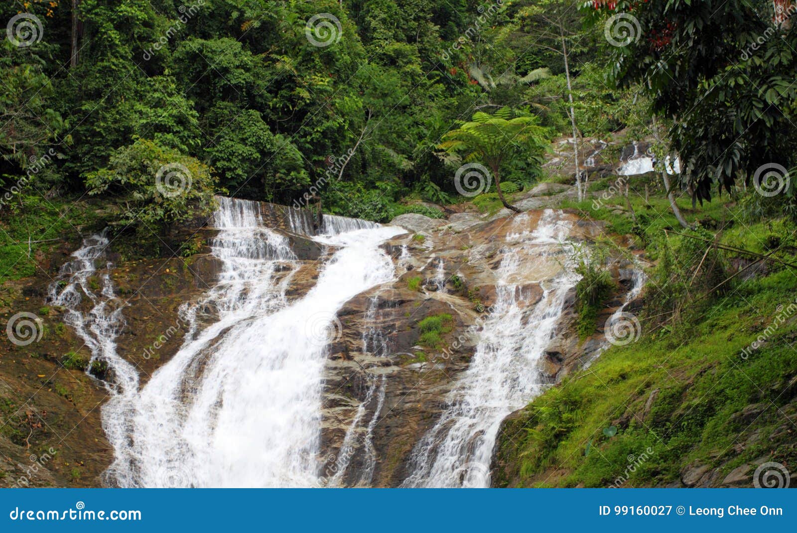 Stock Image of Waterfalls at Cameron Highlands, Malaysia Stock Image ...