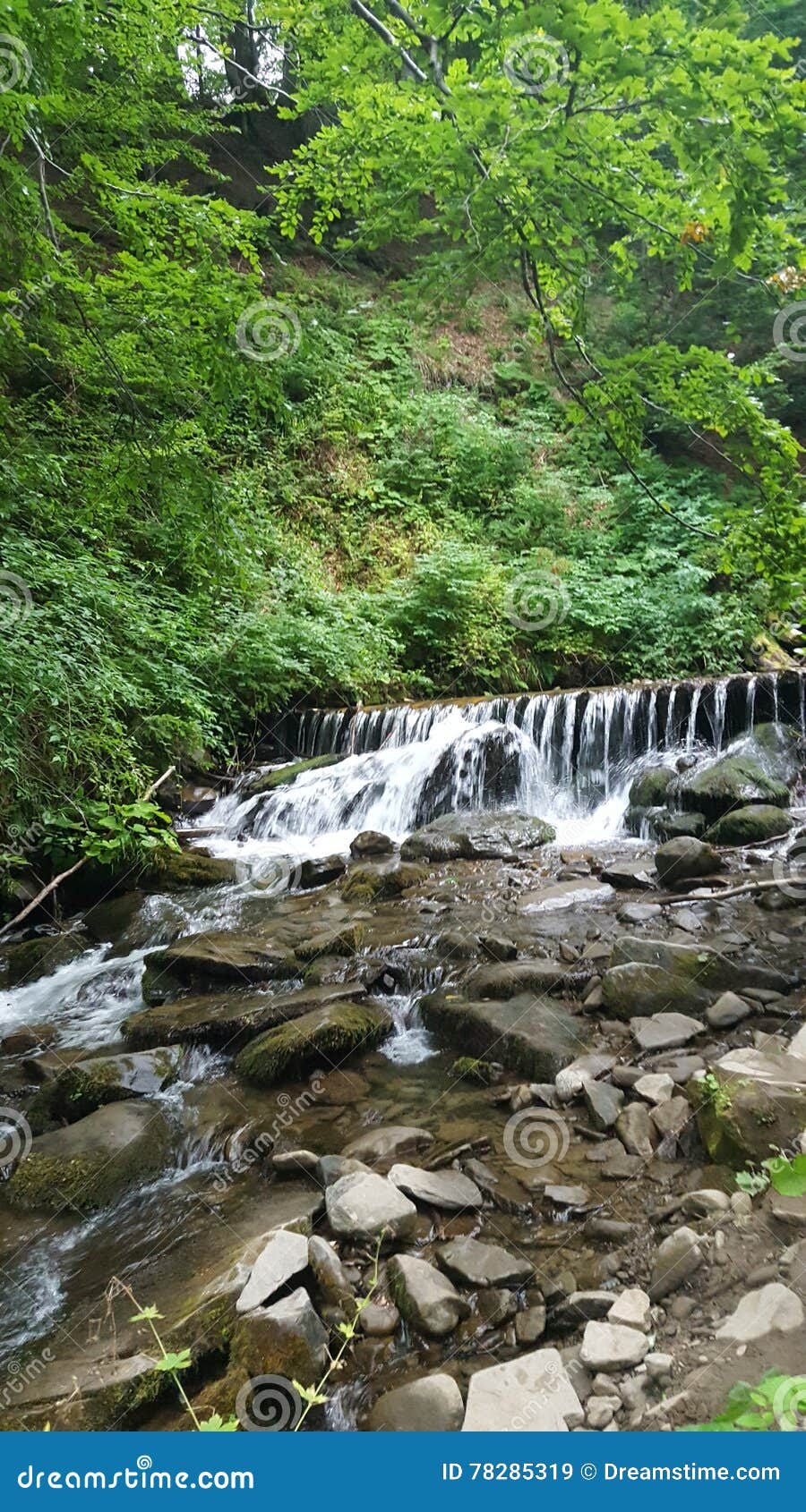 Waterfalls in Carpathian Mountains, Ukraine Stock Image - Image of ...