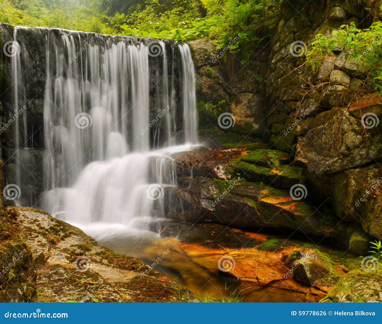 Forest Waterfall, Falls stock photo. Image of nature - 59778626