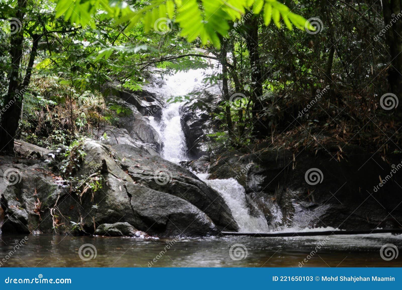 Objects and nature stock image. Image of rocks, forest - 221650103