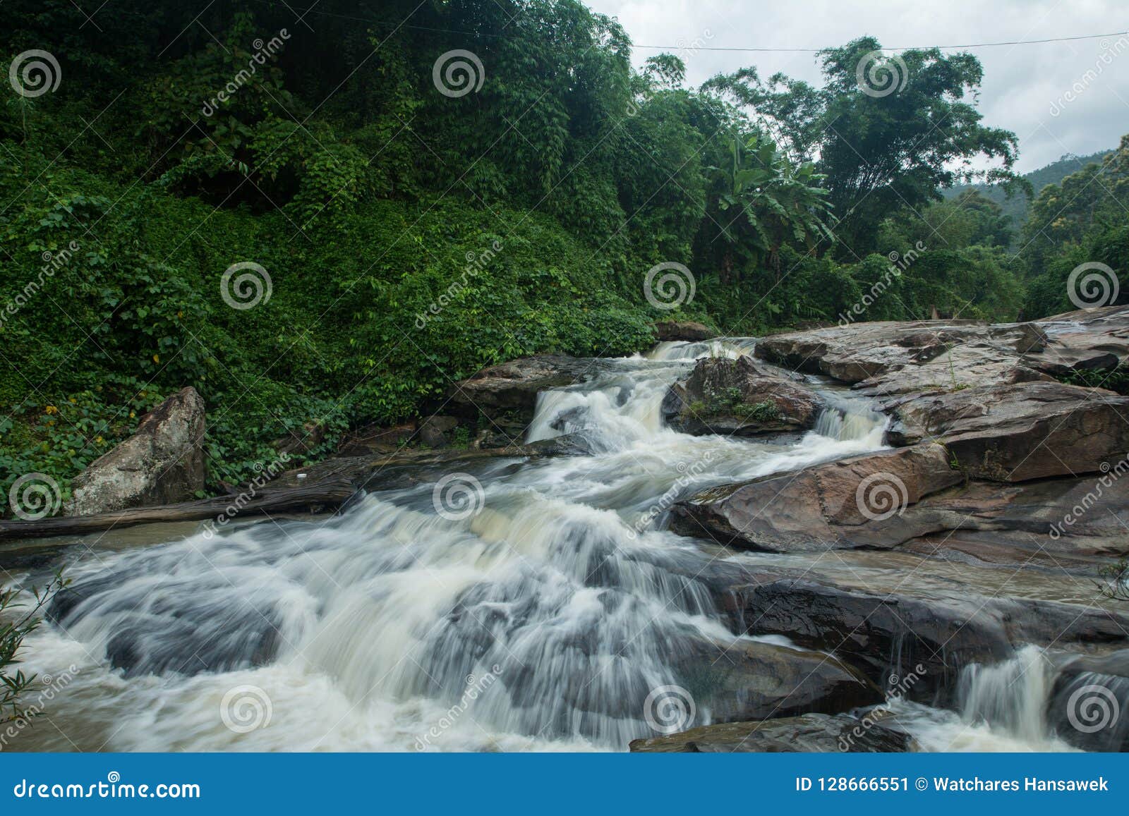 Waterfalls Flowing Down from the Stream Stock Image - Image of foliage ...