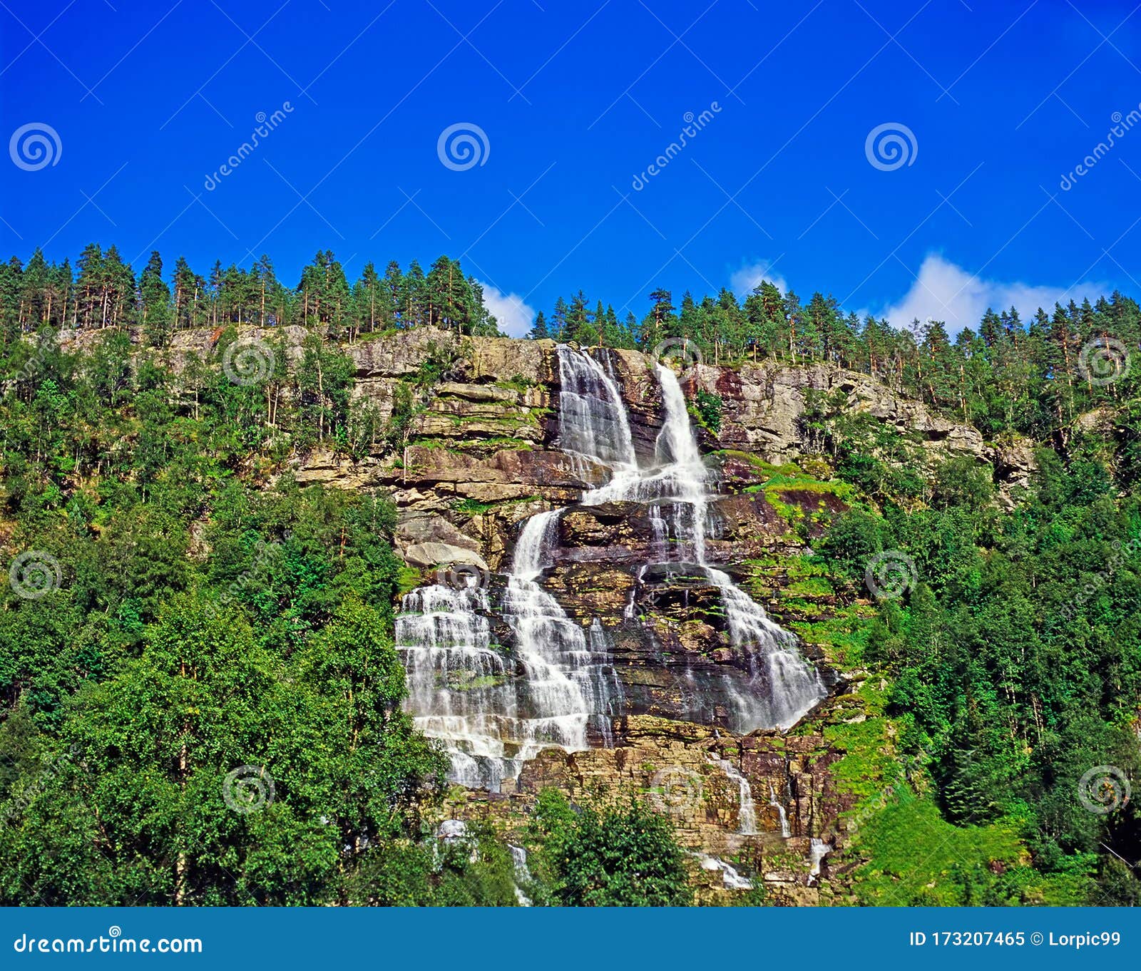 Forest with Waterfalls in Norway Stock Image - Image of forest, nature ...