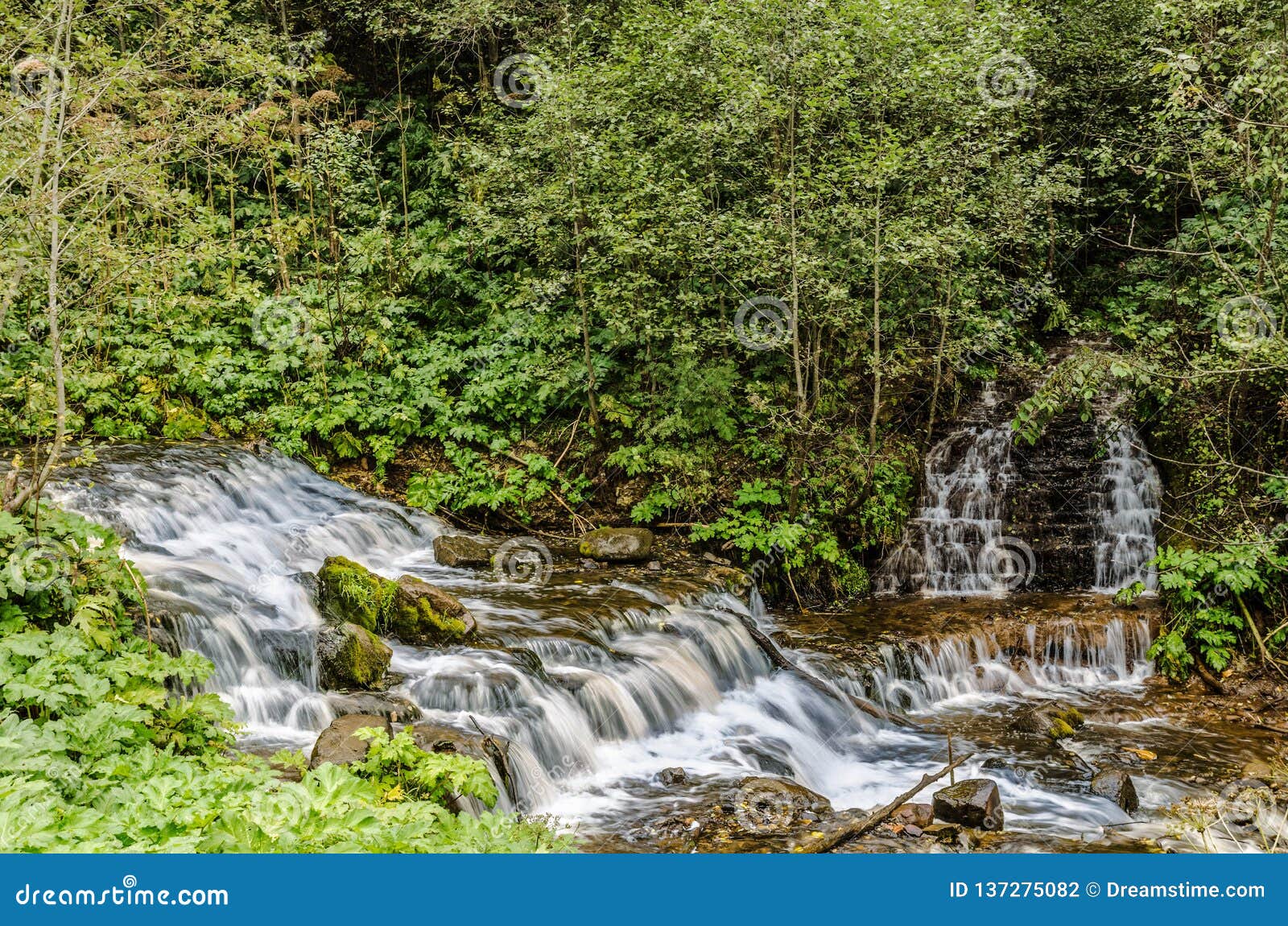 Two waterfalls. stock photo. Image of beautiful, landscape - 137275082