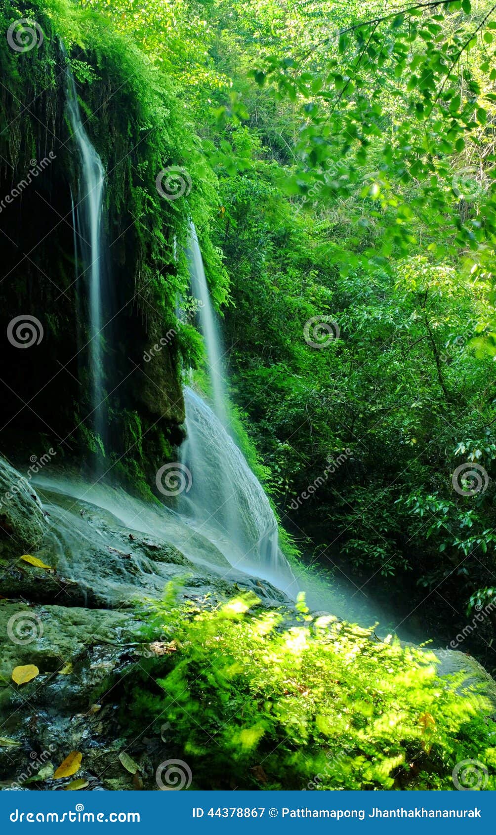 Waterfalls and Green Forest Stock Image - Image of beauty, nature: 44378867