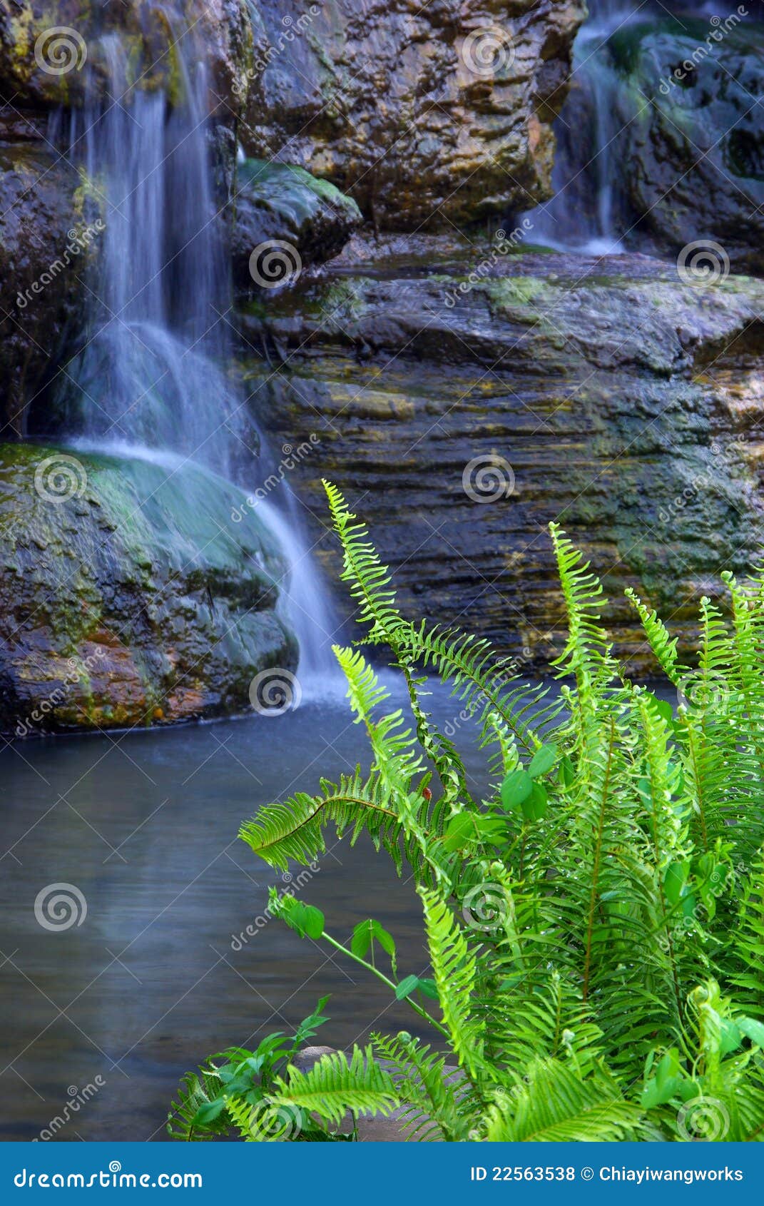 Waterfalls and green grass stock photo. Image of leisure - 22563538