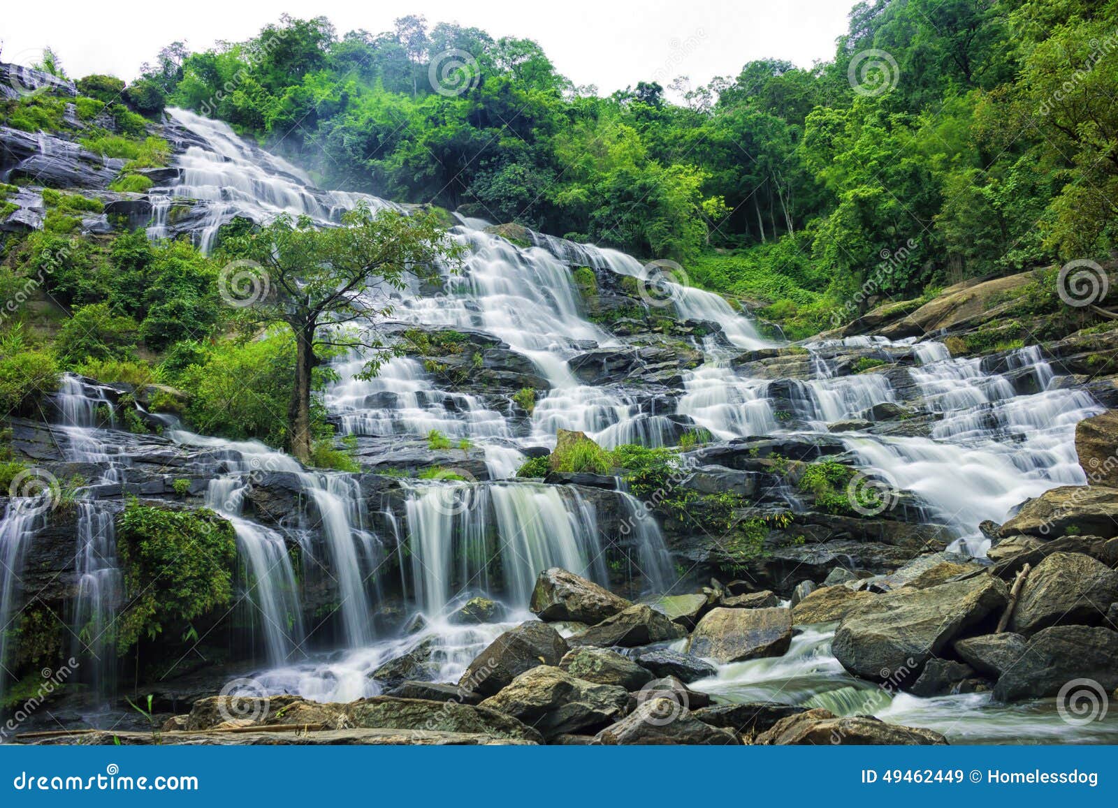 Waterfalls in green nature stock image. Image of foliage - 49462449