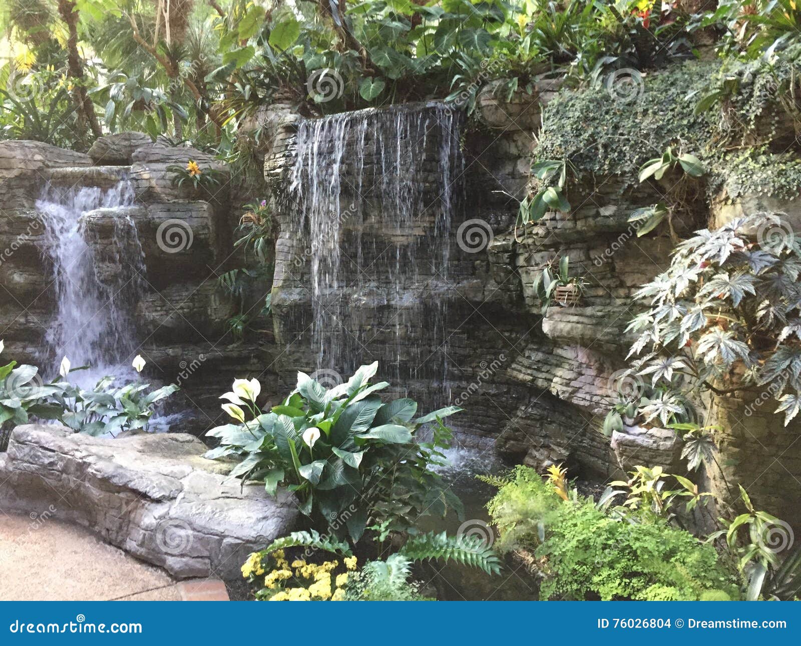 Waterfalls stock photo. Image of plants, wildlife, indoor - 76026804