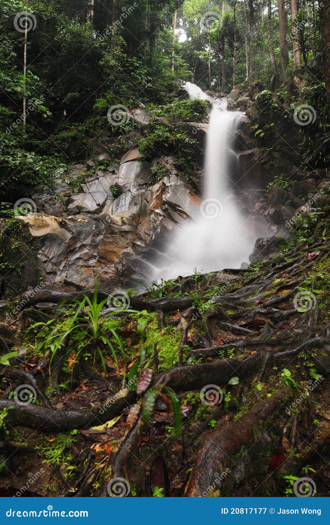 WaterFalls,Jeram Toi Waterfalls 02 Stock Image - Image of green, stream ...