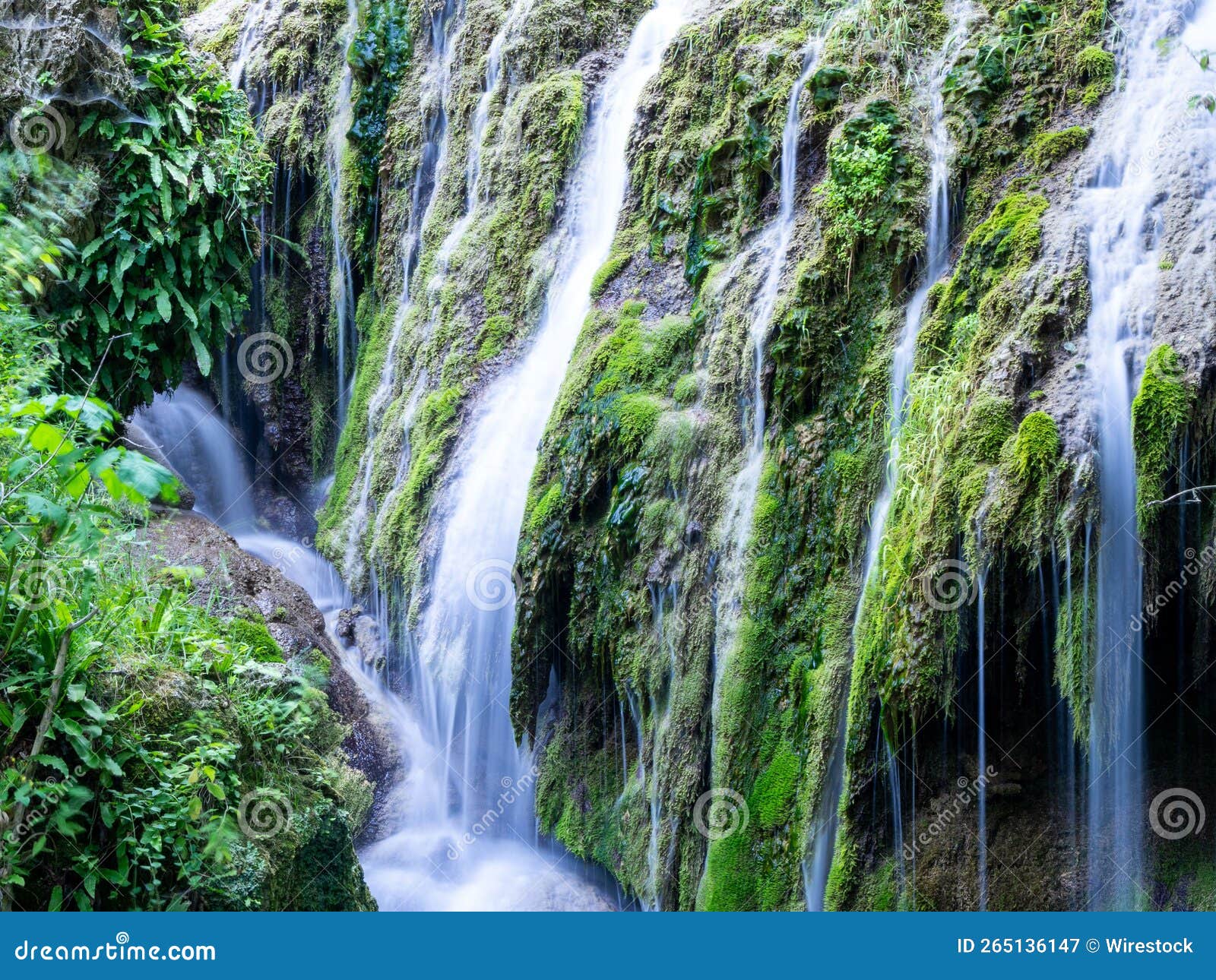 Waterfalls in Krushuna Bulgaria Stock Image - Image of spring, long ...
