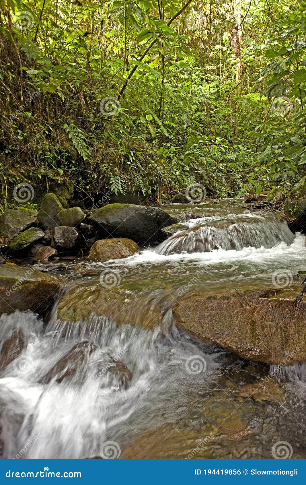 WATERFALLS, MANU NATIONAL PARK in PERU Stock Photo - Image of outdoors ...