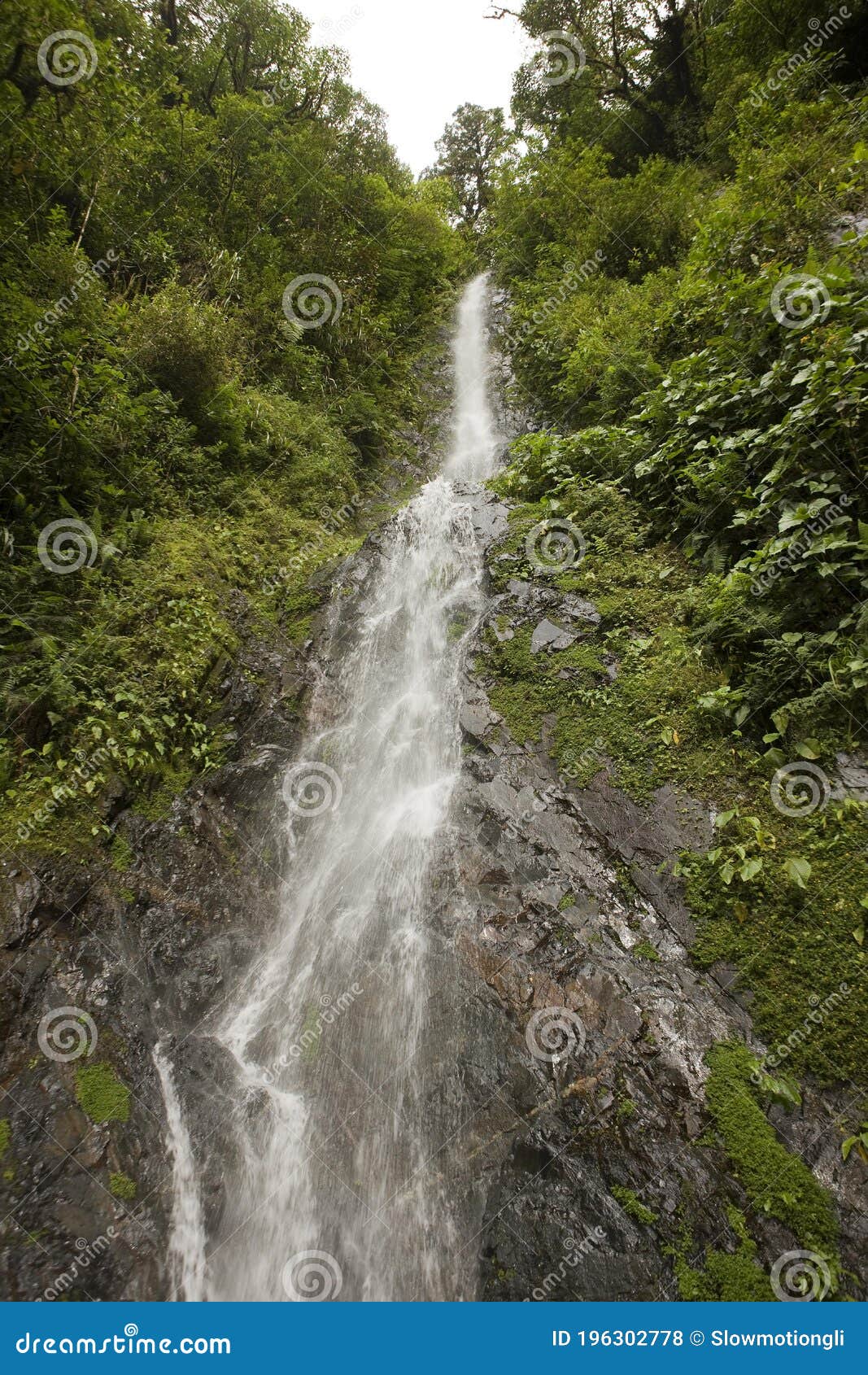 Waterfalls in Manu National Park in Peru Stock Photo - Image of america ...