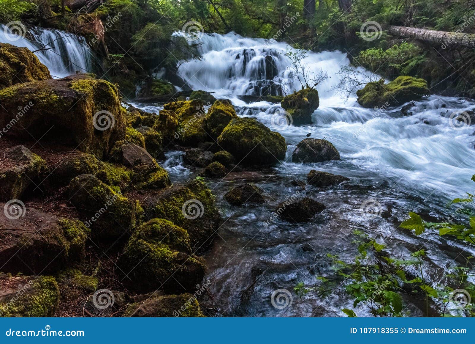 Waterfalls in Mossy Rocks with Texture Stock Image - Image of running ...