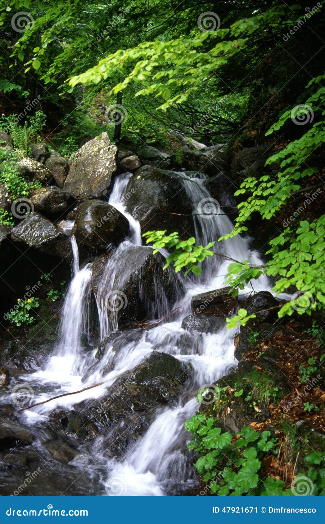 Waterfalls Mountain Springs Stock Image - Image of resource, white ...