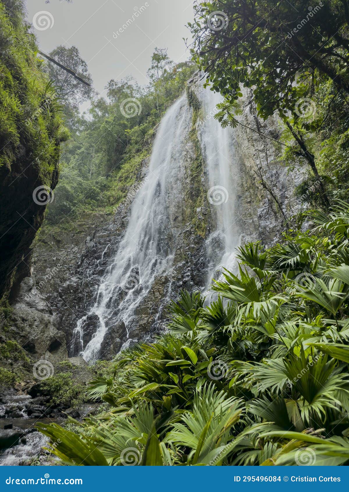 Waterfalls in the Mountains of Panama Stock Photo - Image of mountains ...