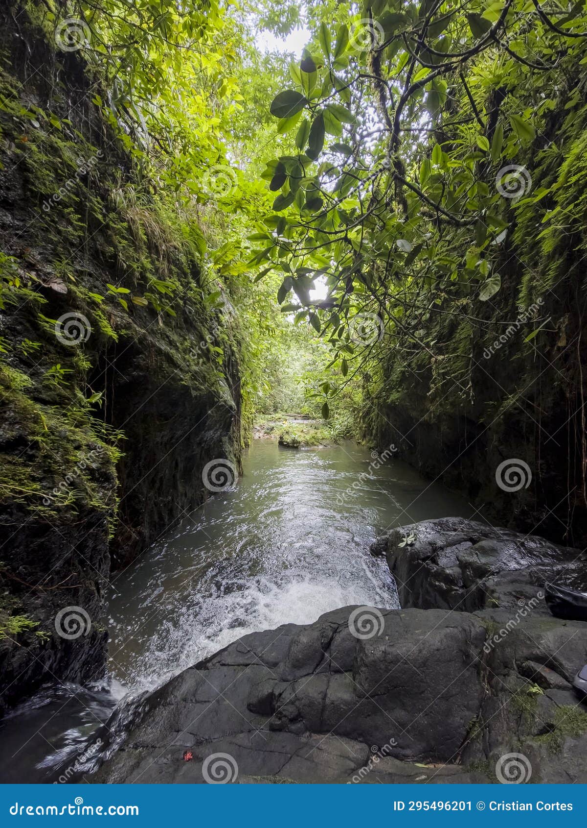 Waterfalls in the Mountains of Panama Stock Image - Image of river ...