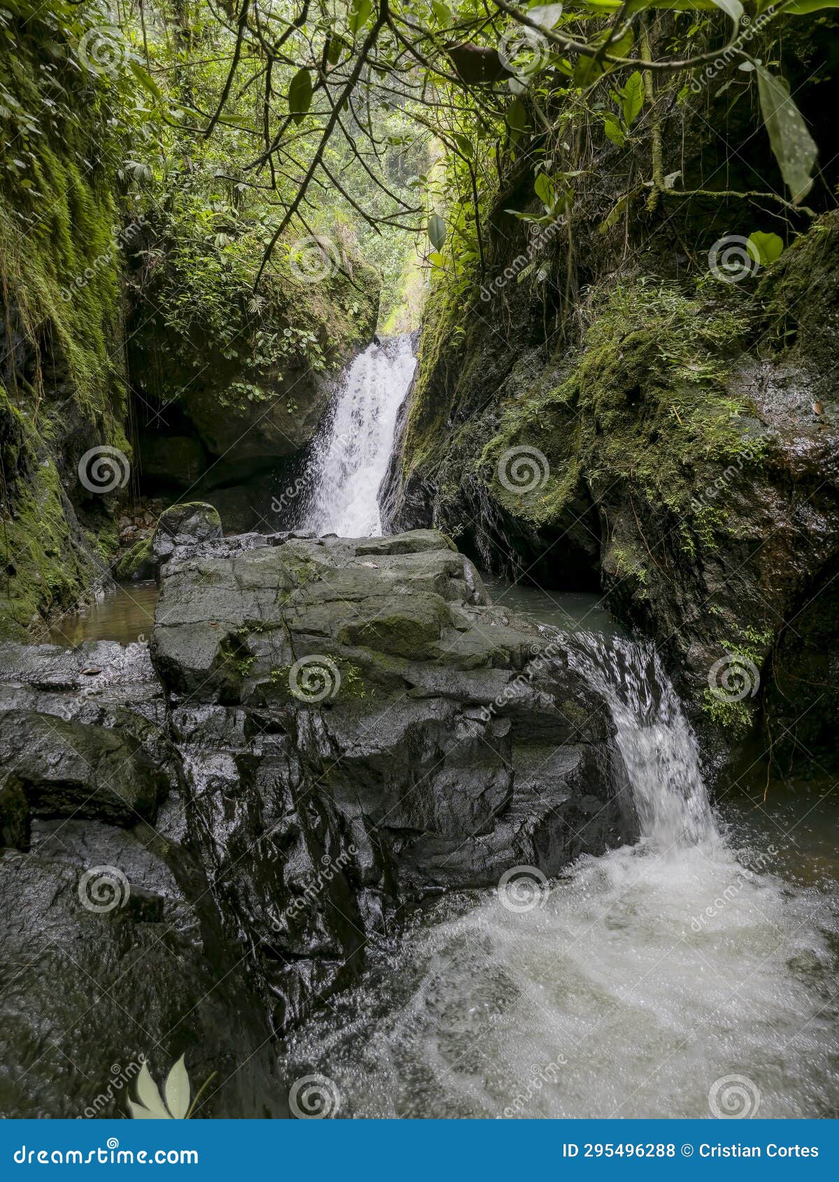 Waterfalls in the Mountains of Panama Stock Photo - Image of forest ...