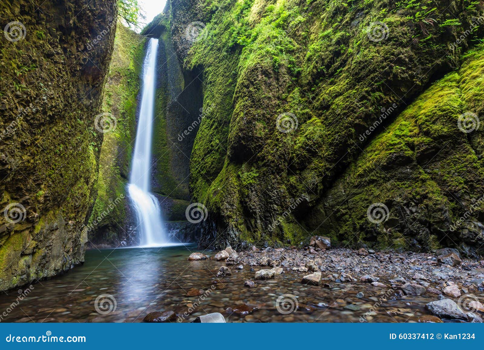 Waterfalls in Oneonta Gorge Trail, Oregon Stock Photo - Image of ...