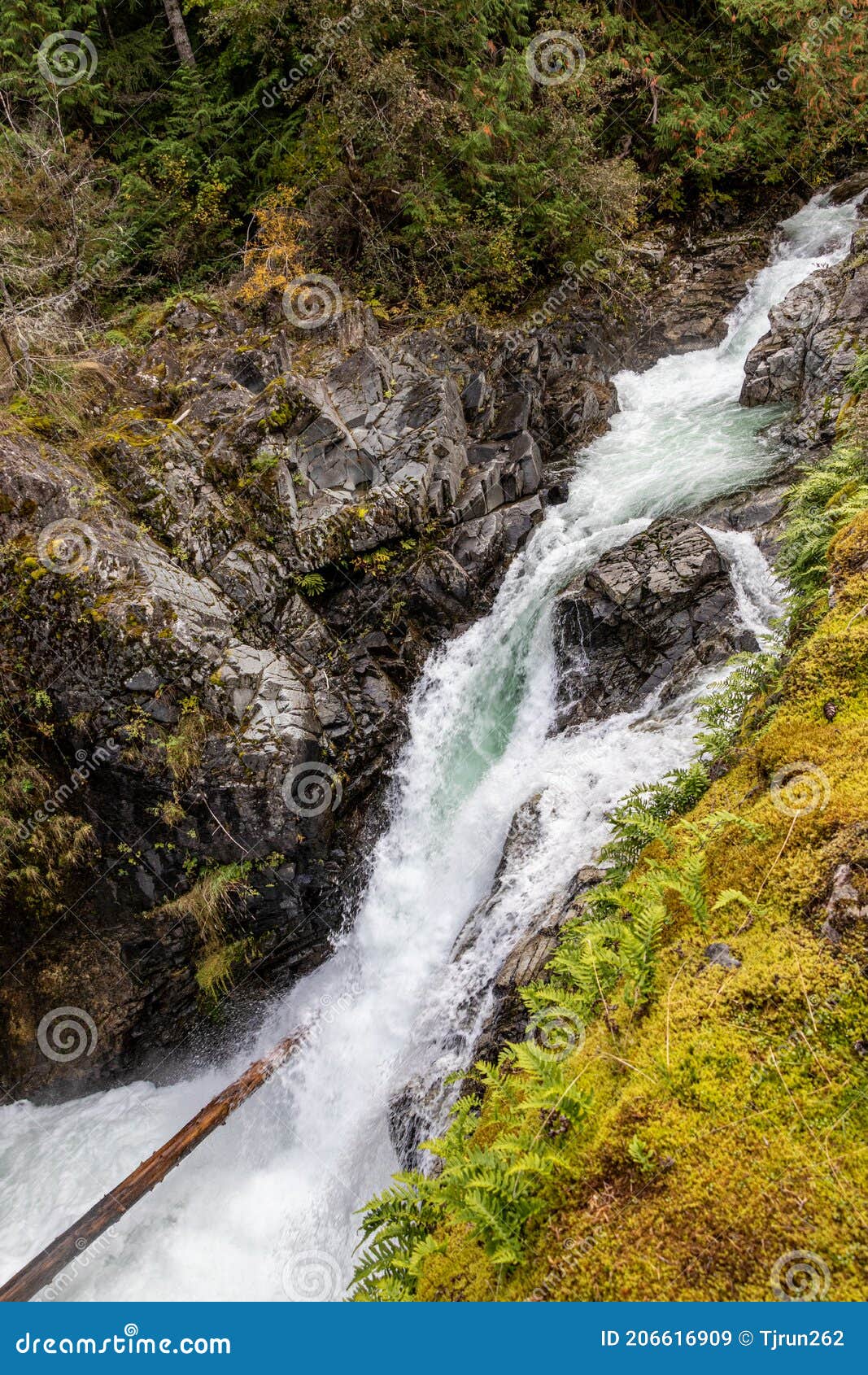 Waterfalls and River at Little Qualicum Falls Provincial Park, B.C ...