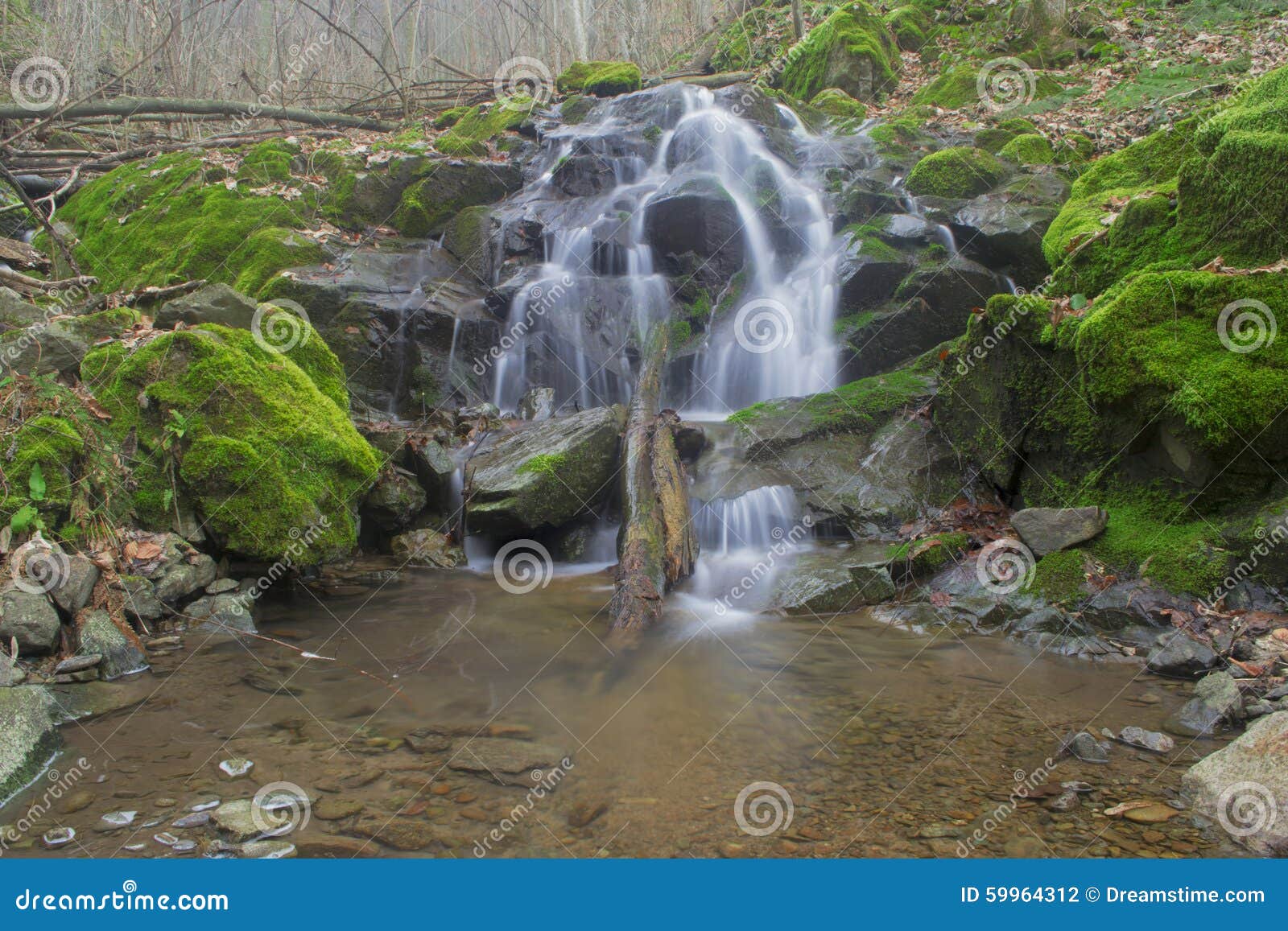 Waterfalls stock photo. Image of national, travel, water - 59964312