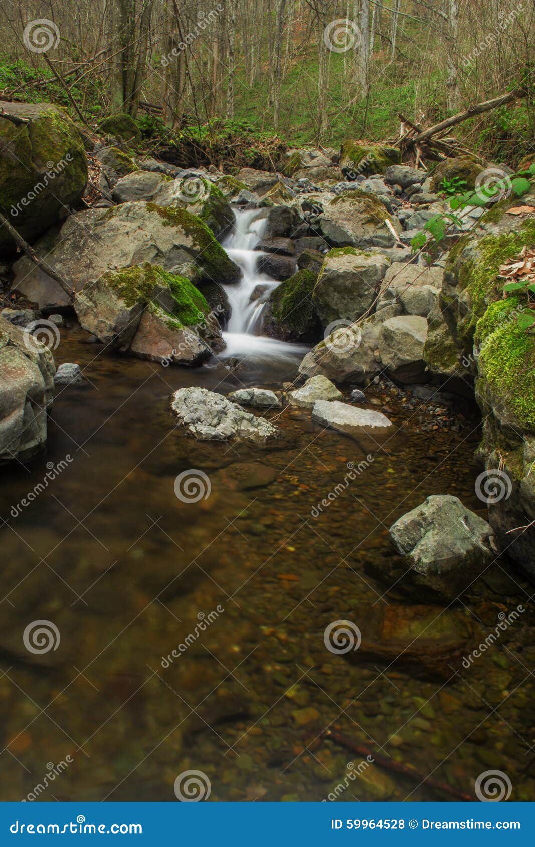 Waterfalls stock photo. Image of natural, forest, stream - 59964528