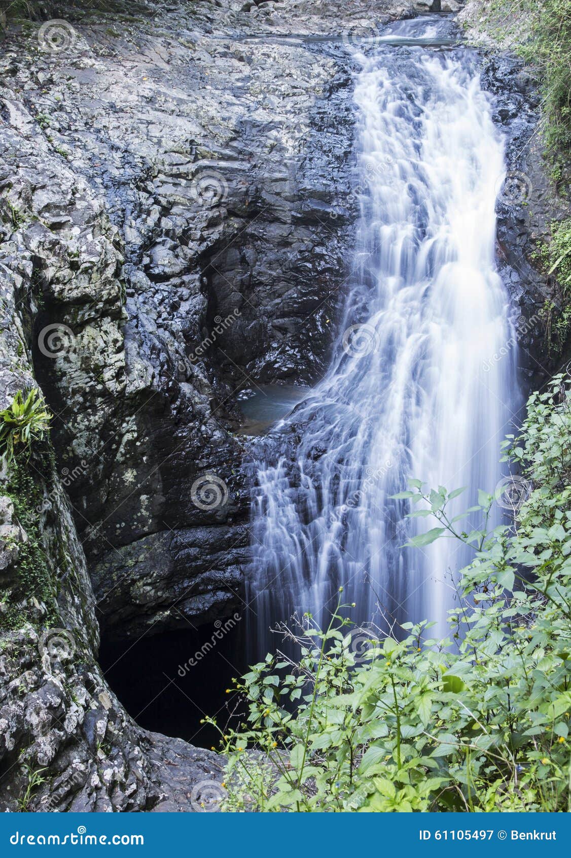 Waterfalls in Springbrook National Park Stock Image - Image of ...