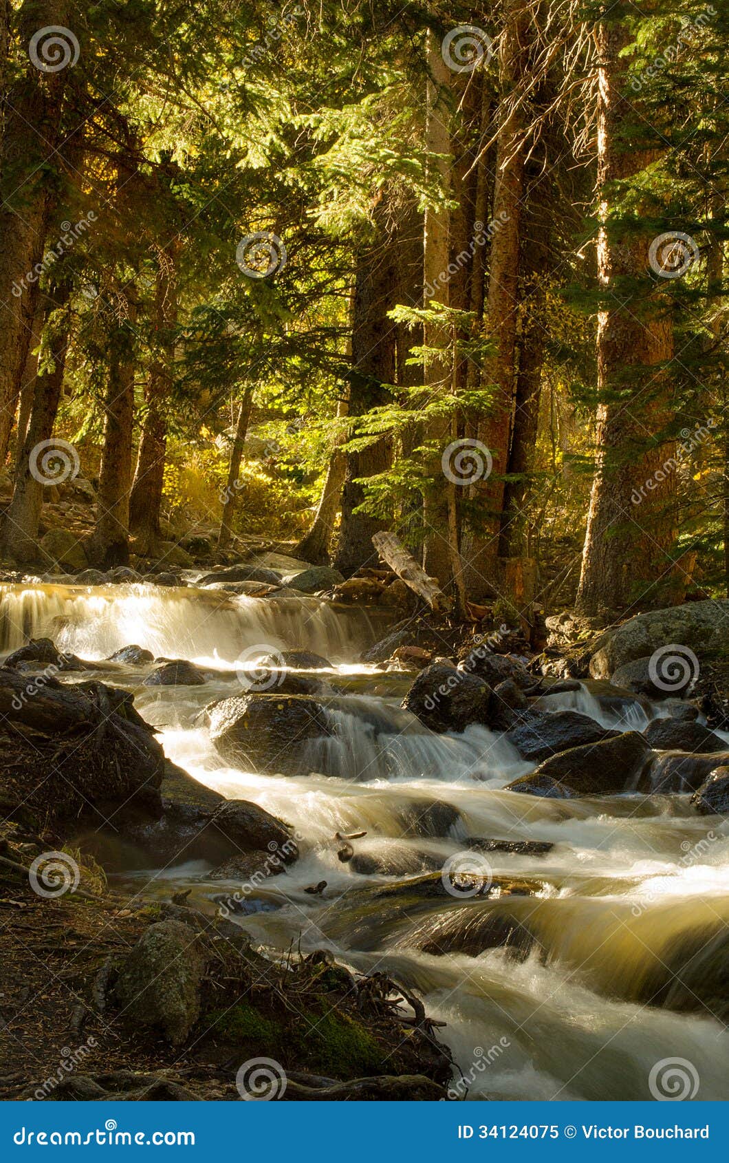 Waterfalls on Stream in Forest Stock Image - Image of leaves, stream ...