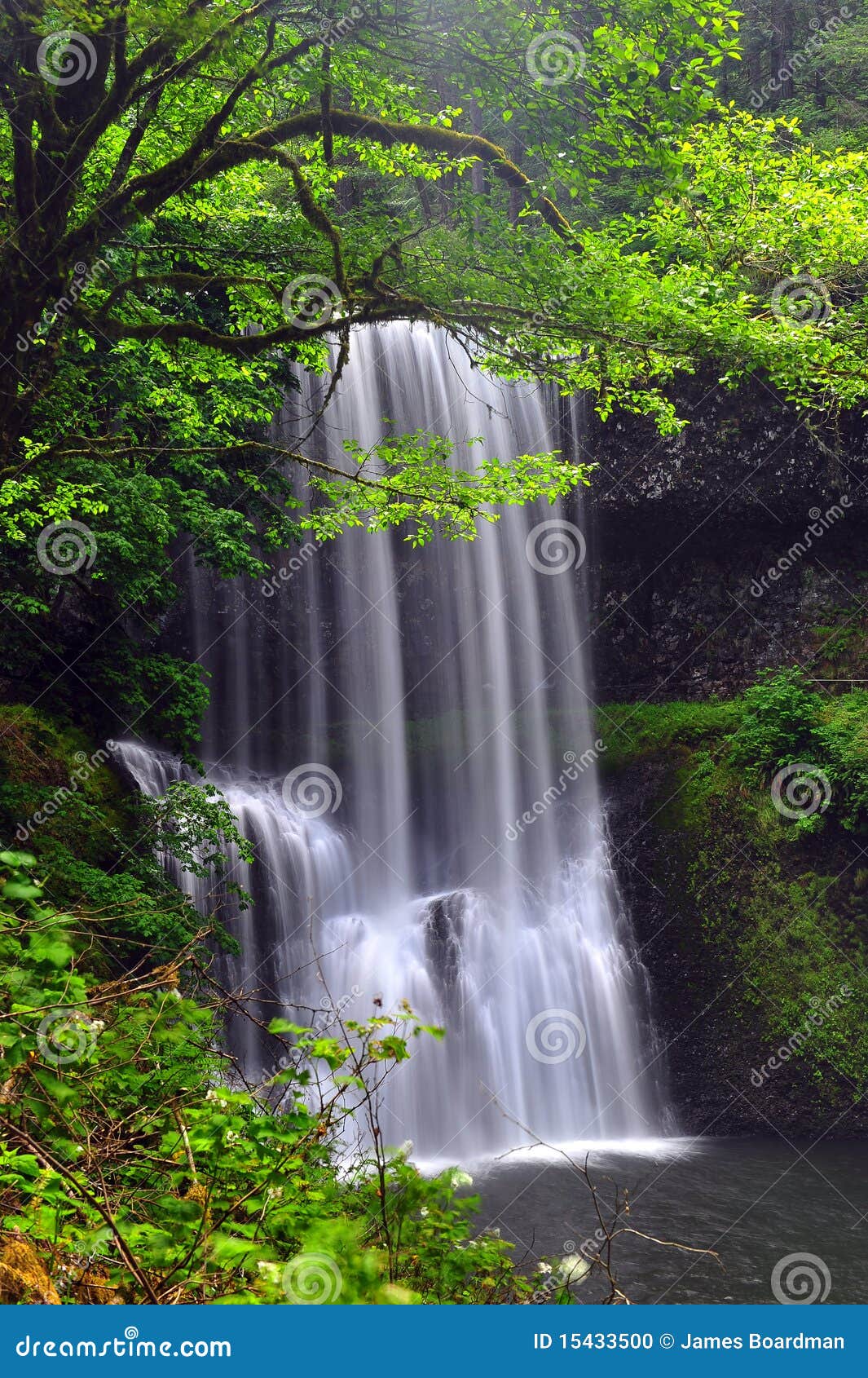 Waterfalls through tree stock photo. Image of rocks, nature - 15433500