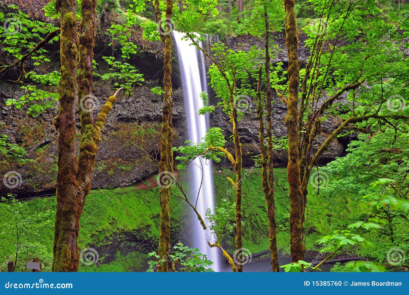 Waterfalls through the Trees Stock Photo - Image of hiking, brook: 15385760