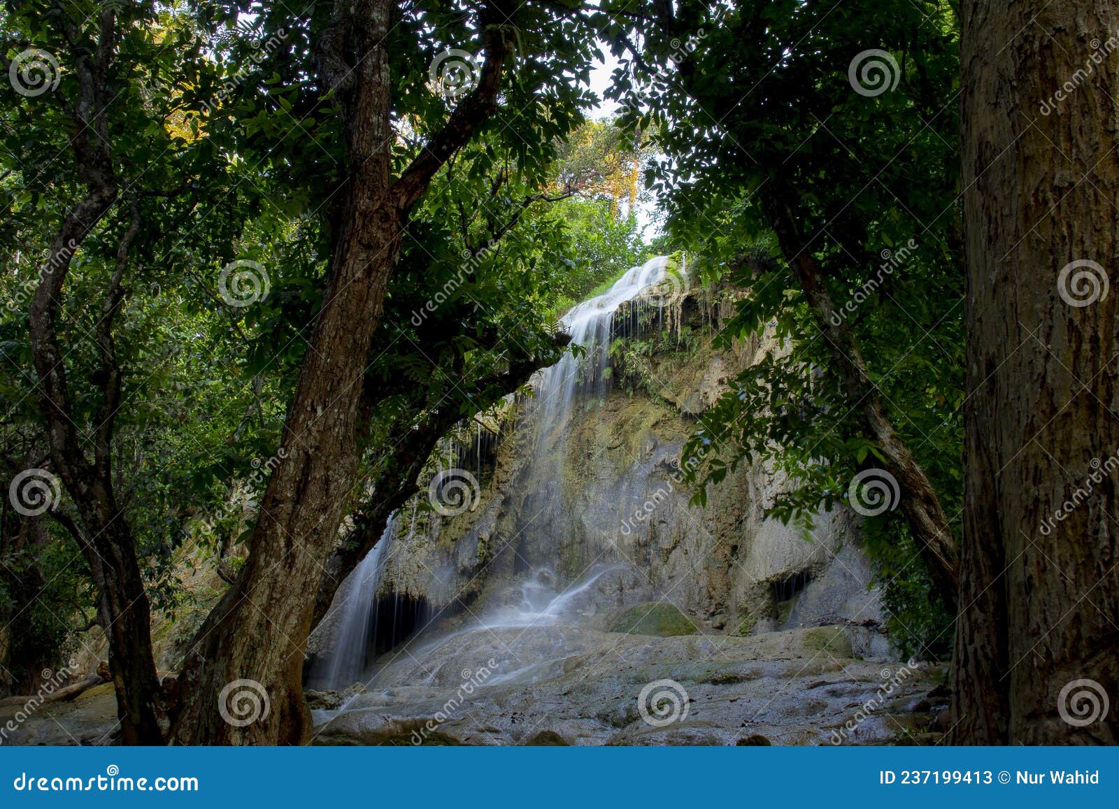 Waterfalls among the trees stock image. Image of forest - 237199413
