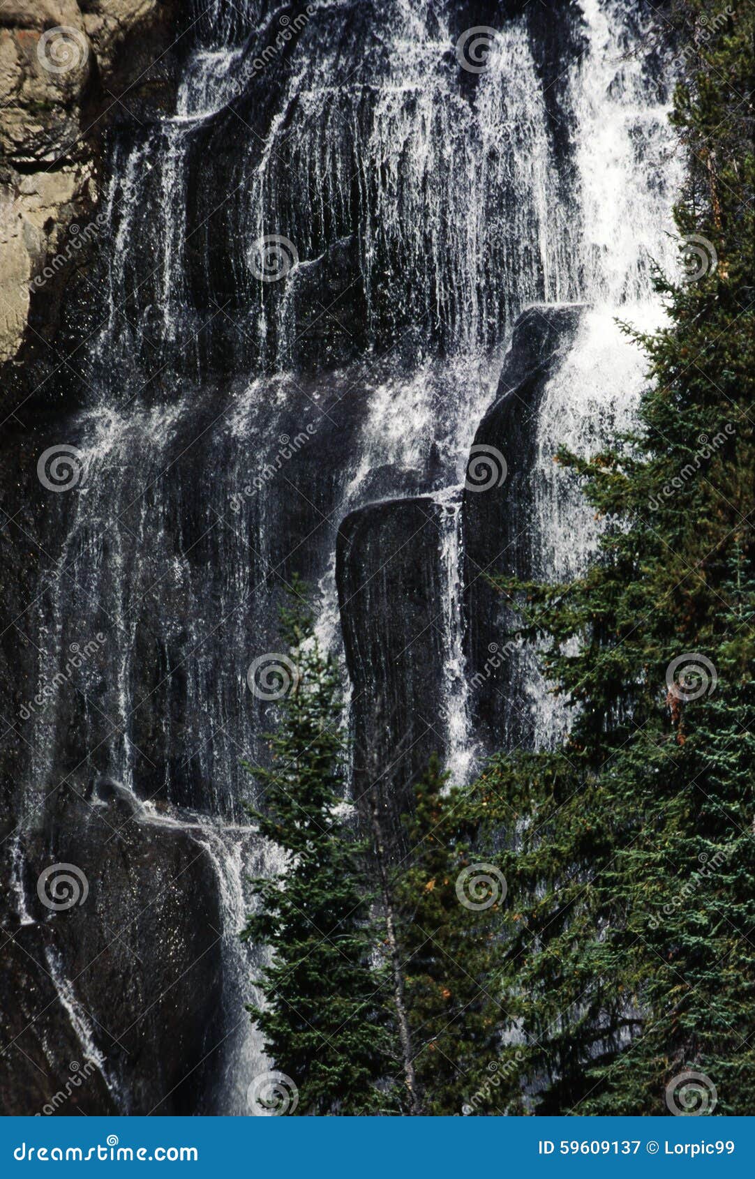 Waterfalls stock image. Image of river, flora, nature - 59609137