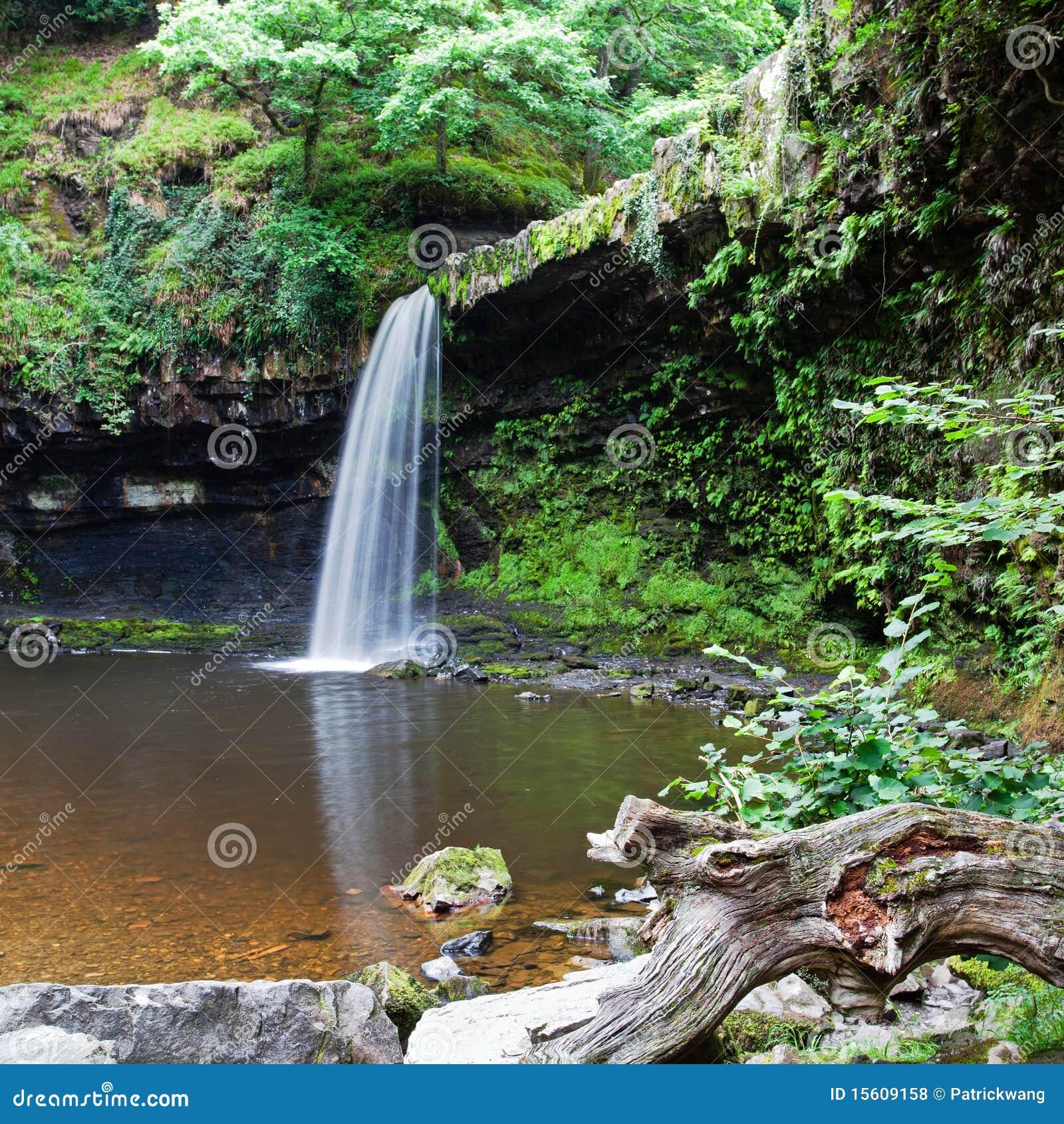 Waterfalls in Wales UK stock photo. Image of water, forest - 15609158