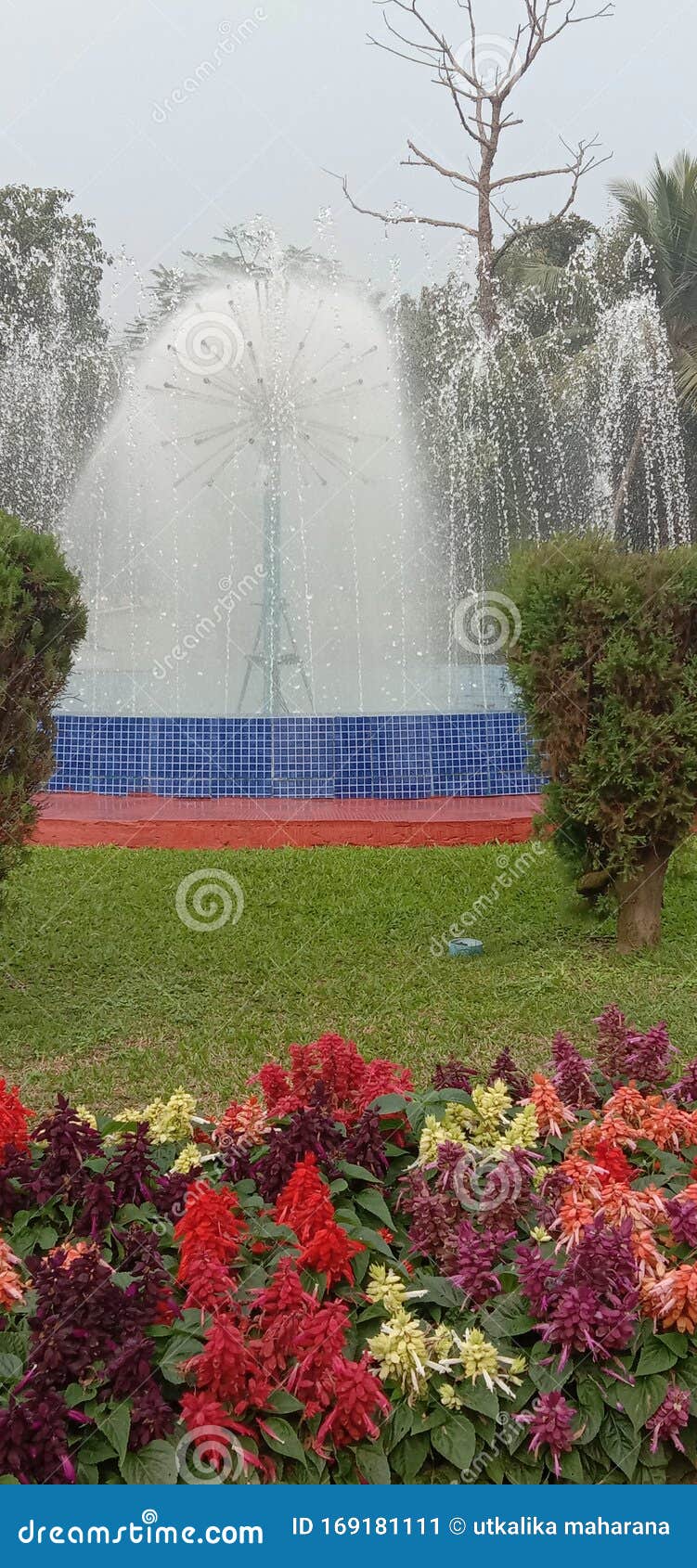 Waterflow stock image. Image of waterbath, waterflow - 169181111