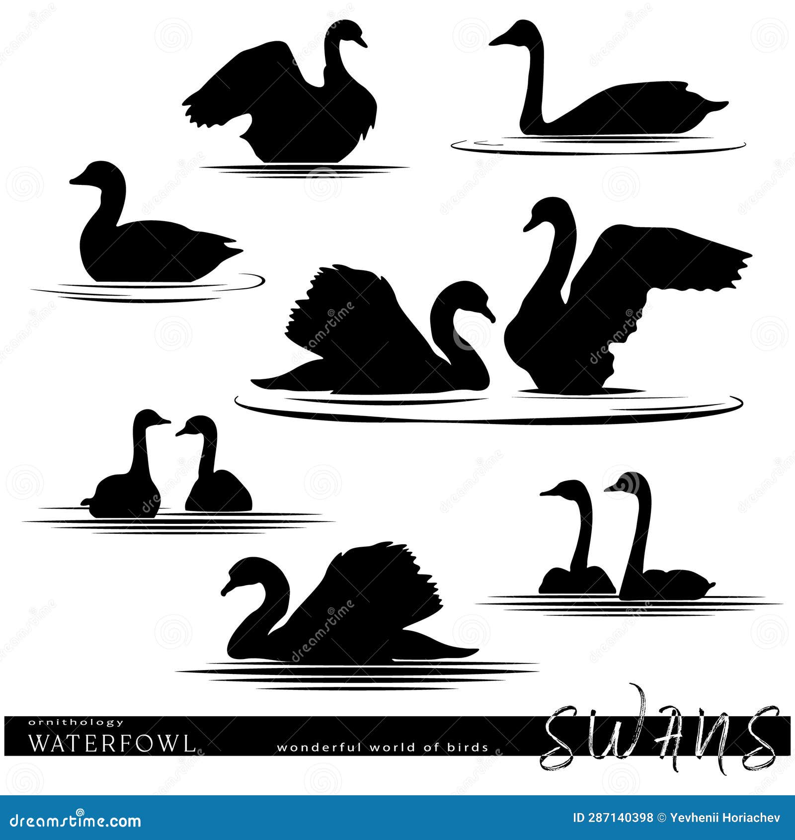 Waterfowl Birds Set Swans Silhouettes Vector Illustration Stock