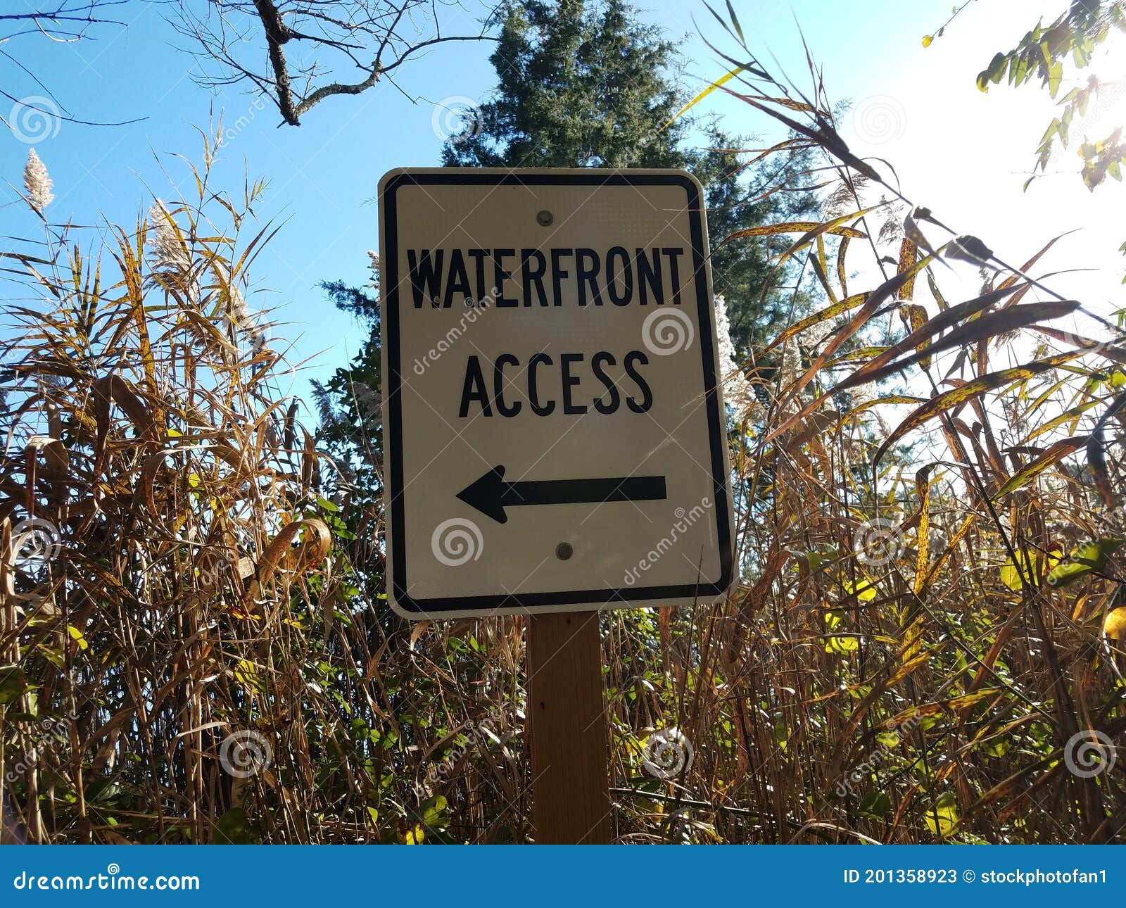 Waterfront Access Sign with Arrow and Trees Stock Image - Image of ...