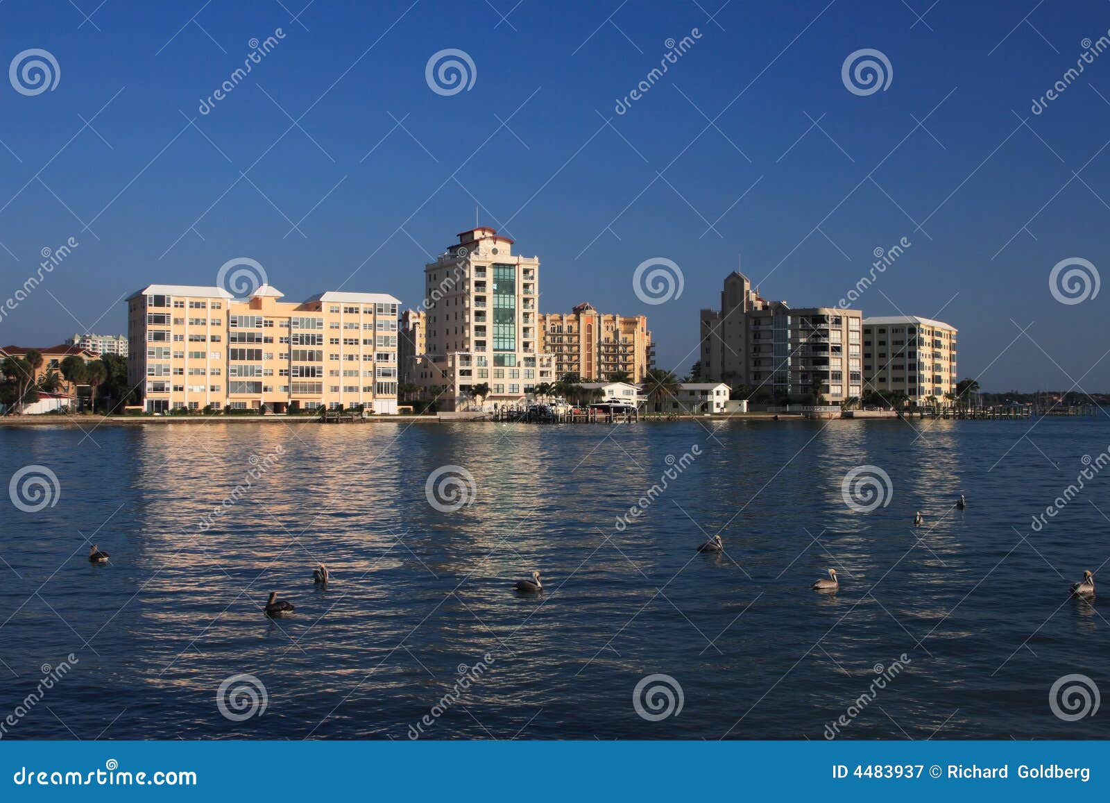 Waterfront Apartment Buildings Stock Image - Image of gulf, miami: 4483937