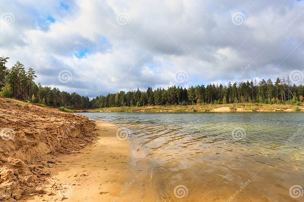 Waterfront Beach Forest Lake Stock Photo - Image of wood, effluent ...