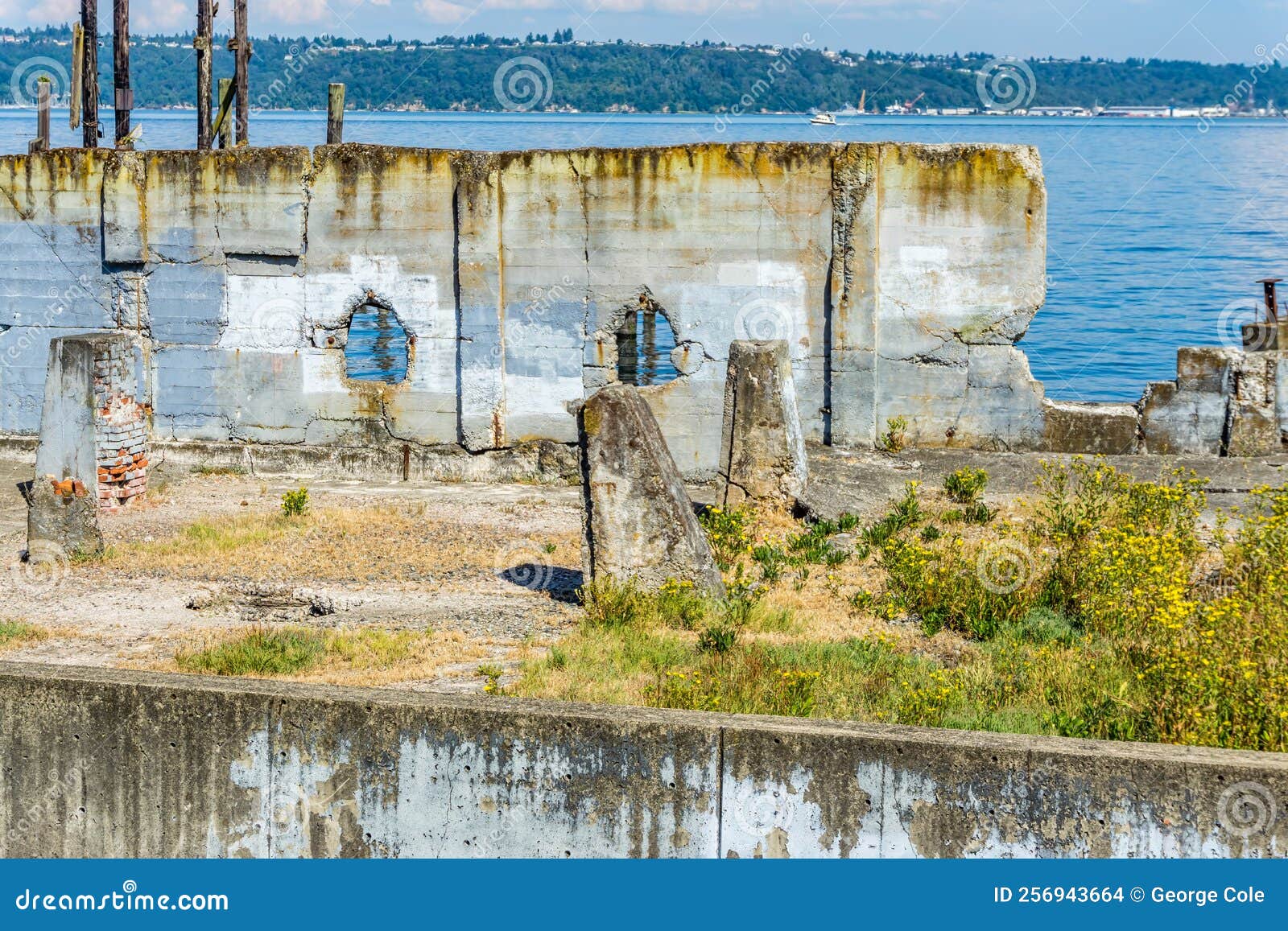 Waterfront Park Ruins 5 stock photo. Image of wall, mill - 256943664