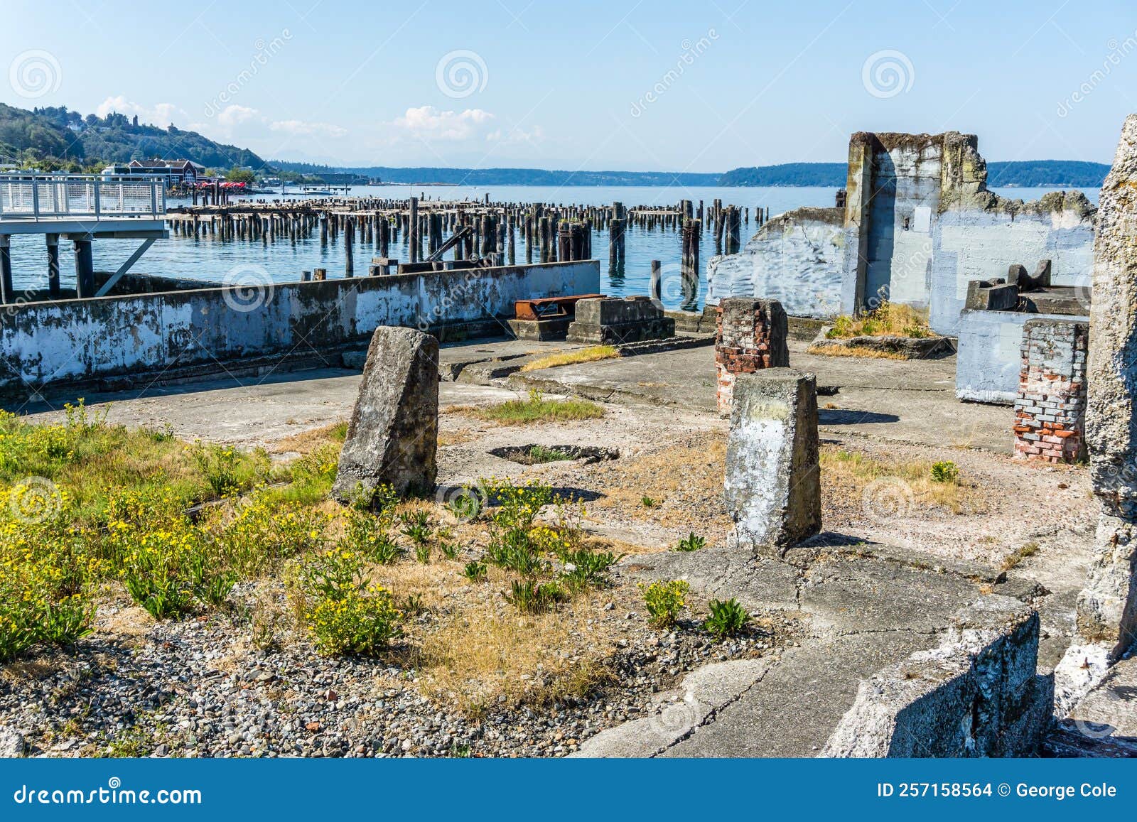Waterfront Park Ruins 3 stock photo. Image of ruins - 257158564