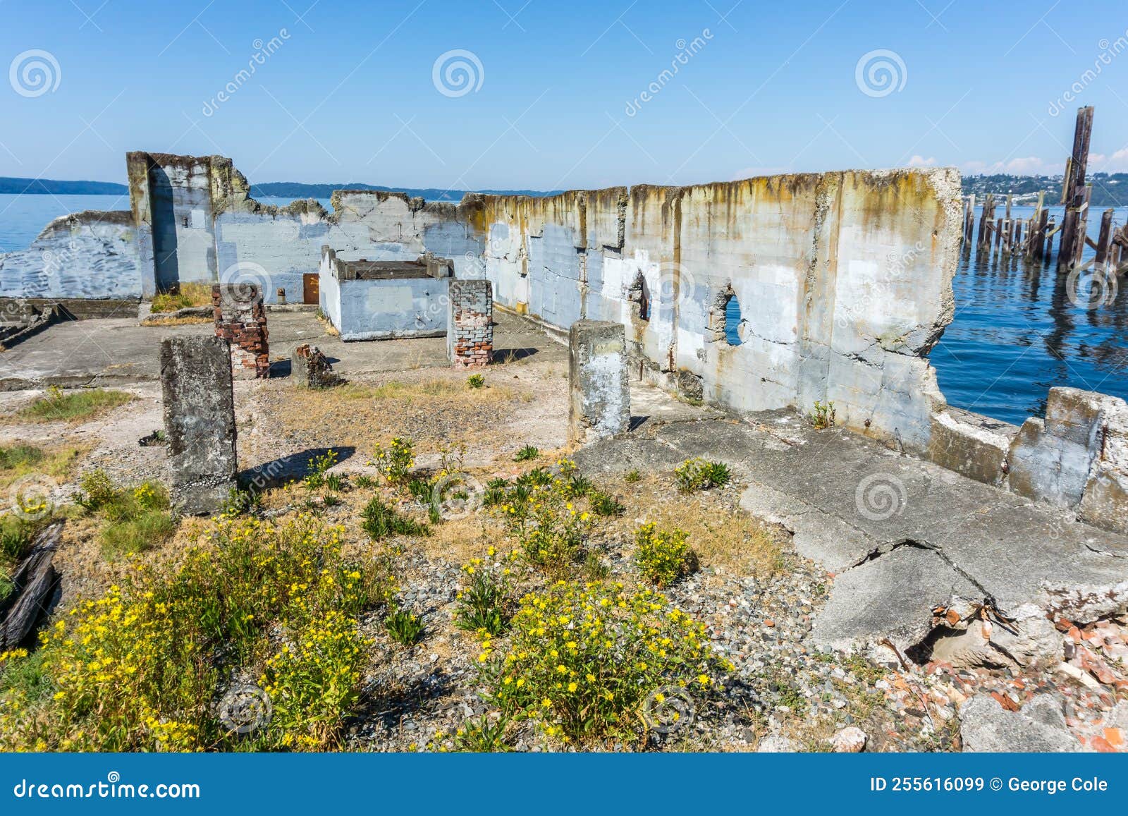 Waterfront Park Ruins 4 stock image. Image of tourism - 255616099