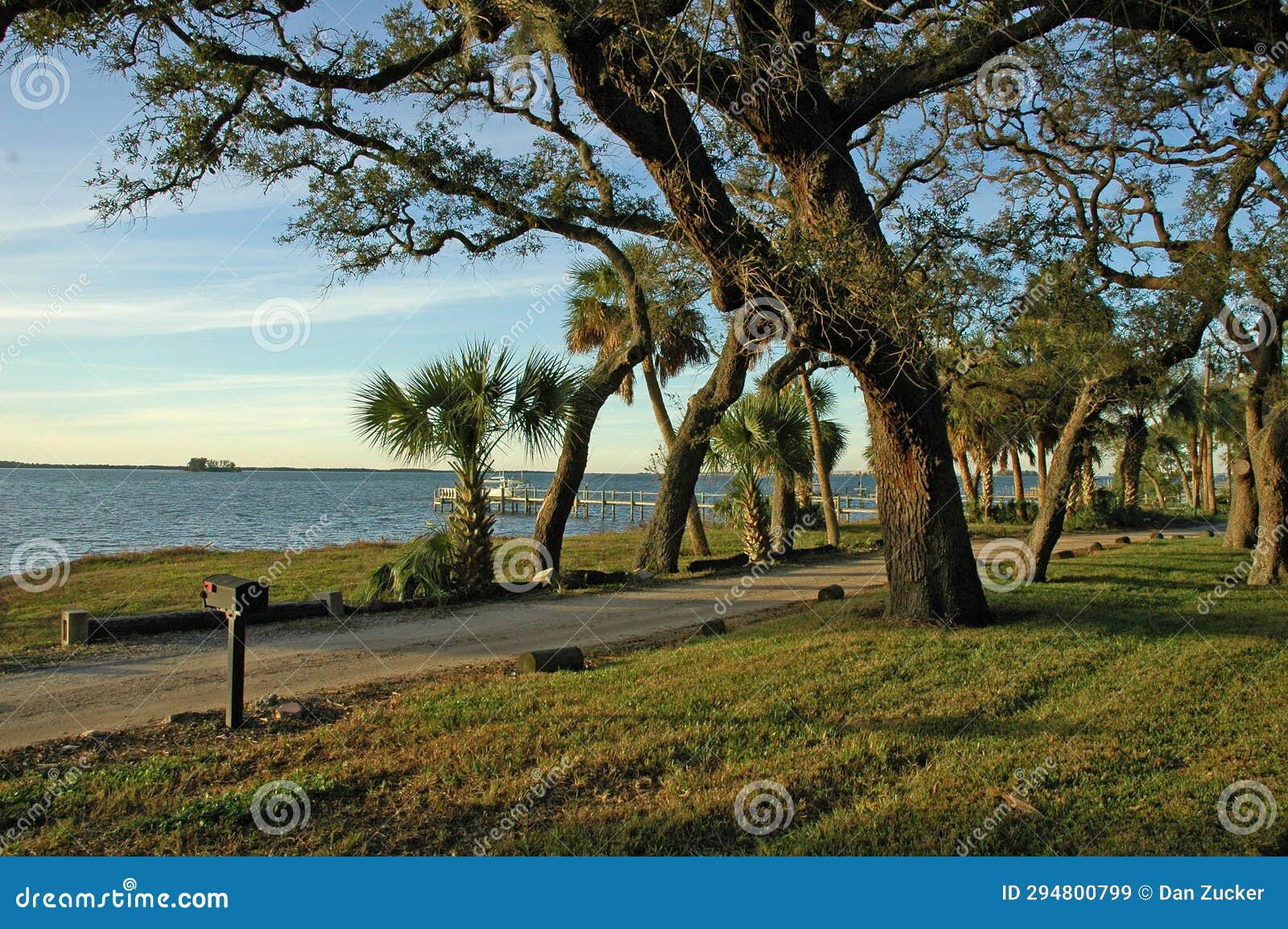 Waterfront park with trees stock image. Image of grass - 294800799
