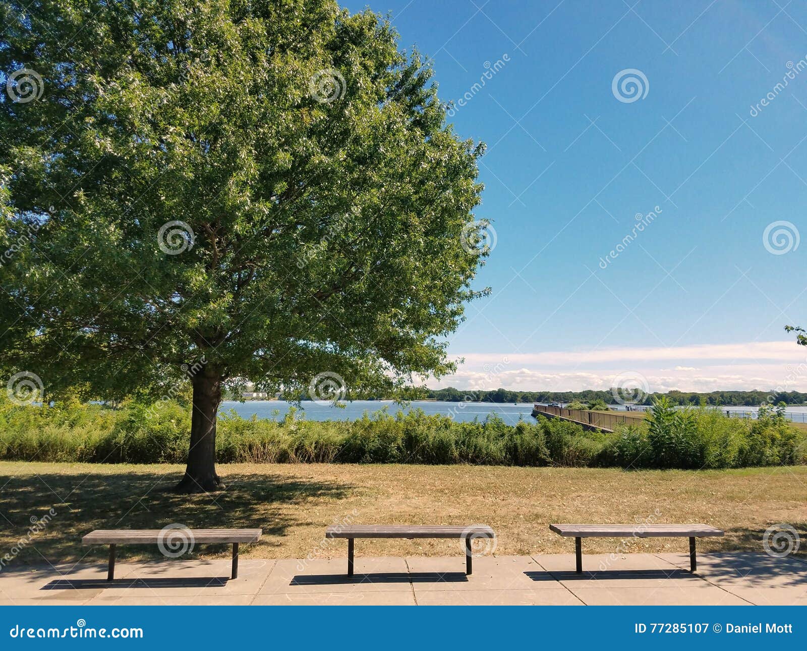Waterfront scenery stock image. Image of landscapes, lake - 77285107