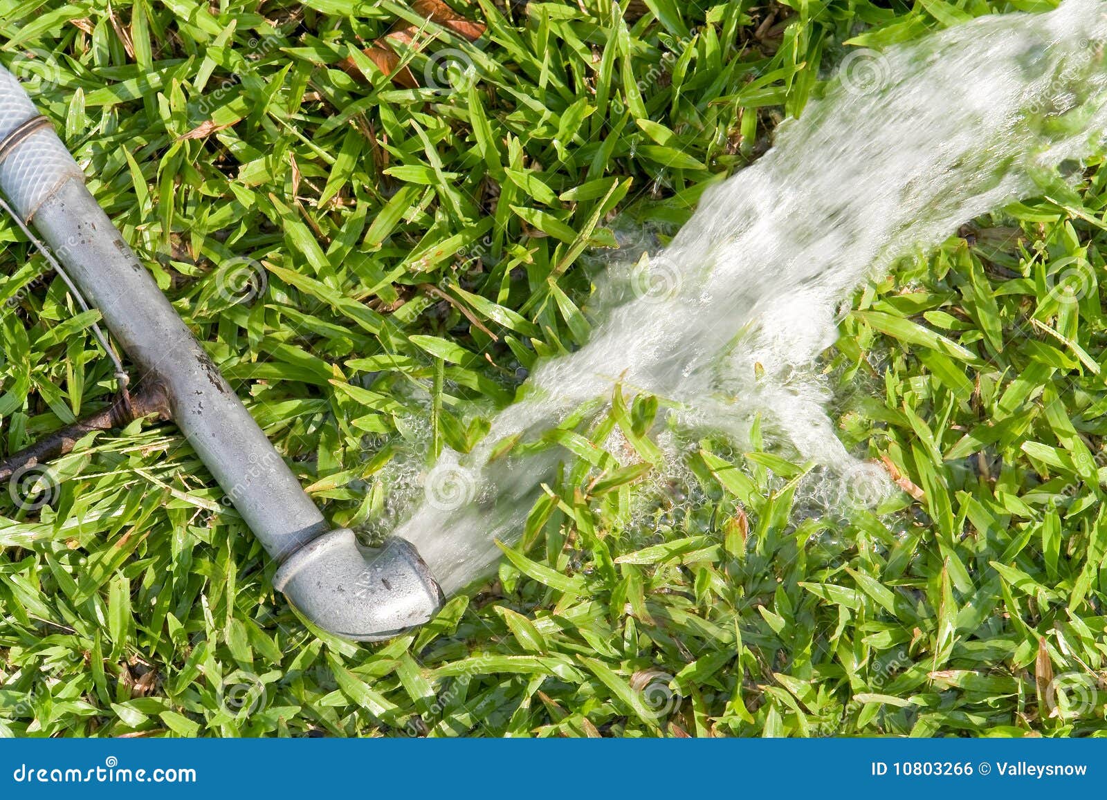 Watering stock photo. Image of irrigation, pressure, irrigating - 10803266